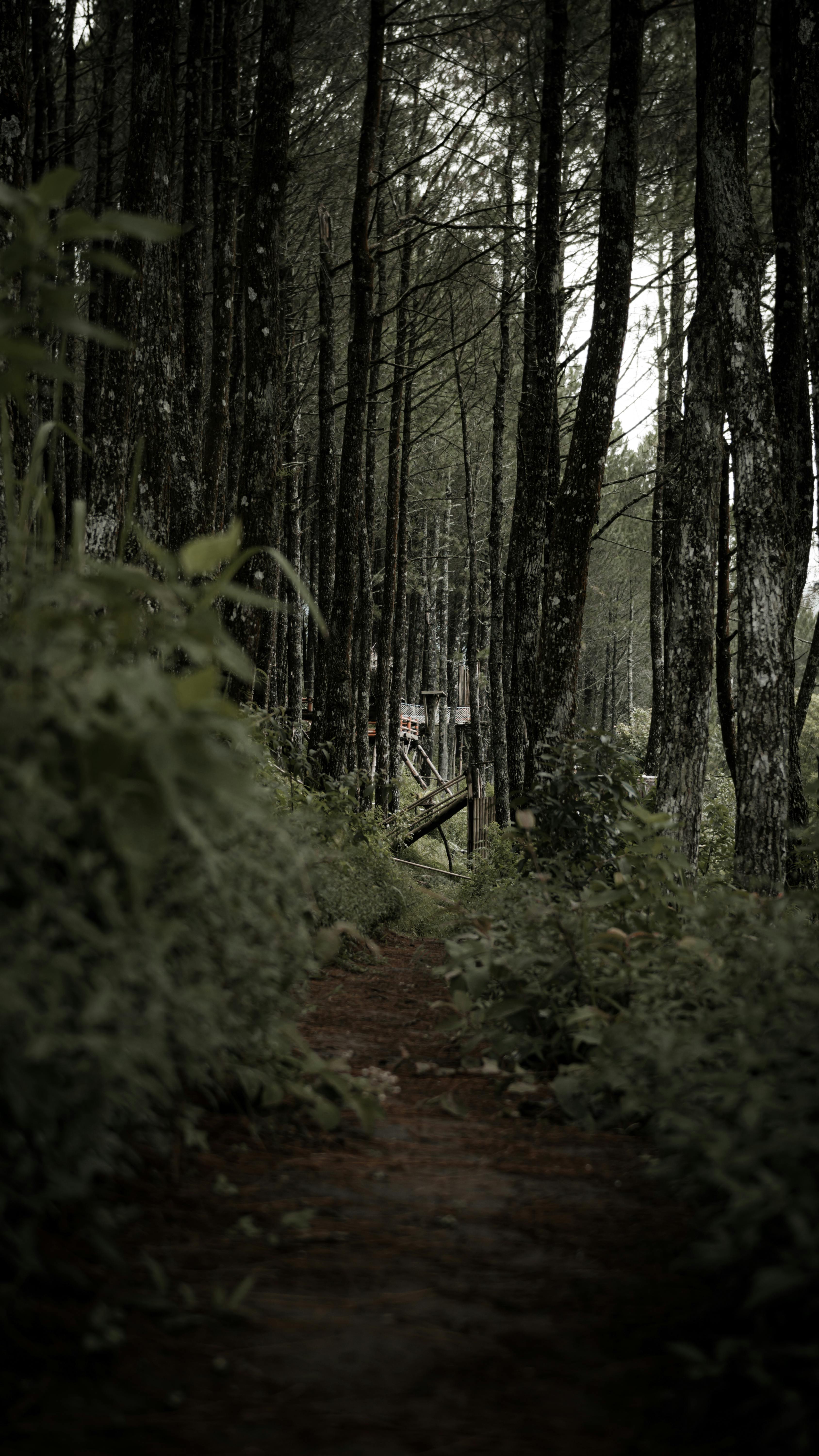 Daffa Rayhan Zein - Photography