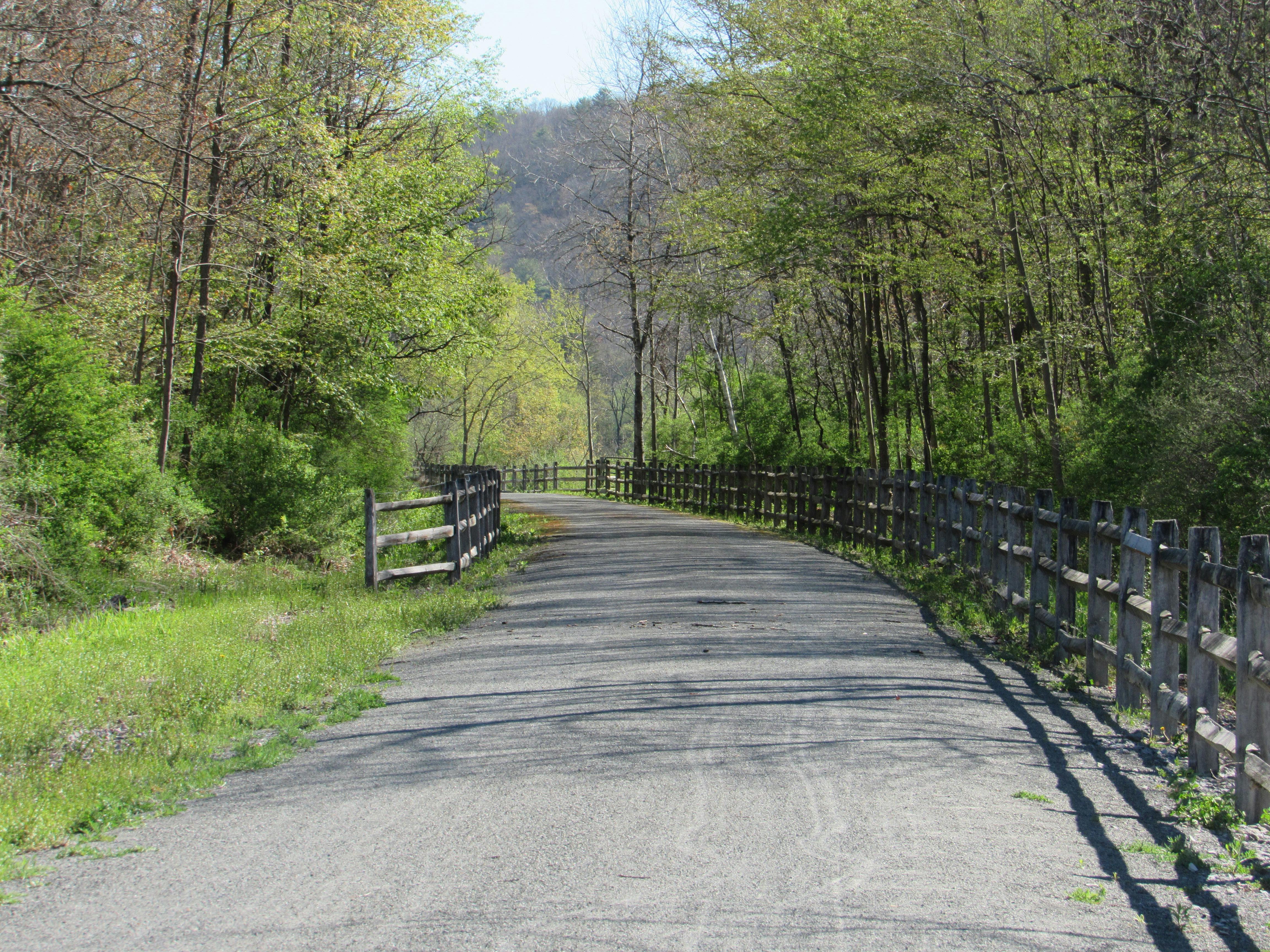 Peter Tremblay - 写真