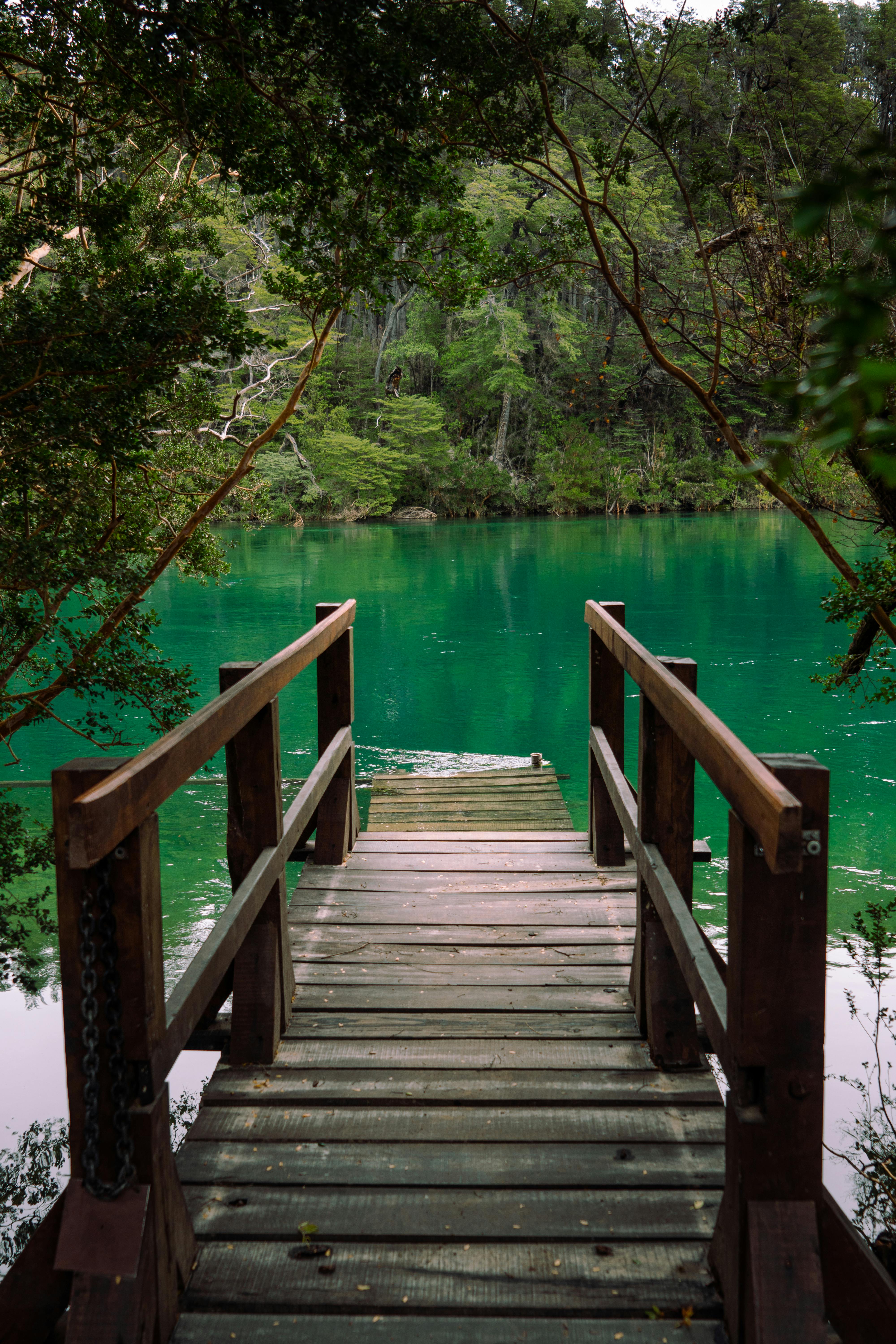 Brown Wooden Boardwalk near Body of Water · Free Stock Photo