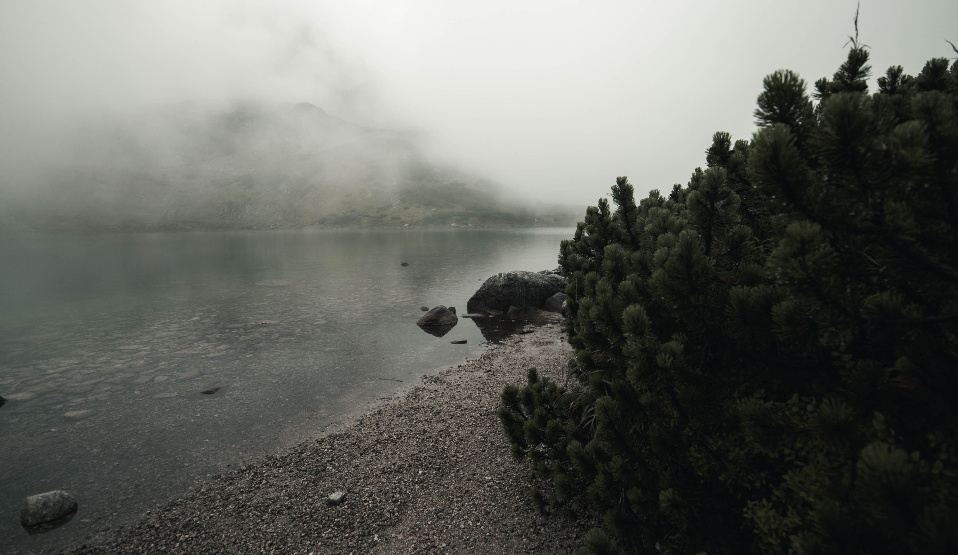 Photo of a Body of Water with Fog · Free Stock Photo