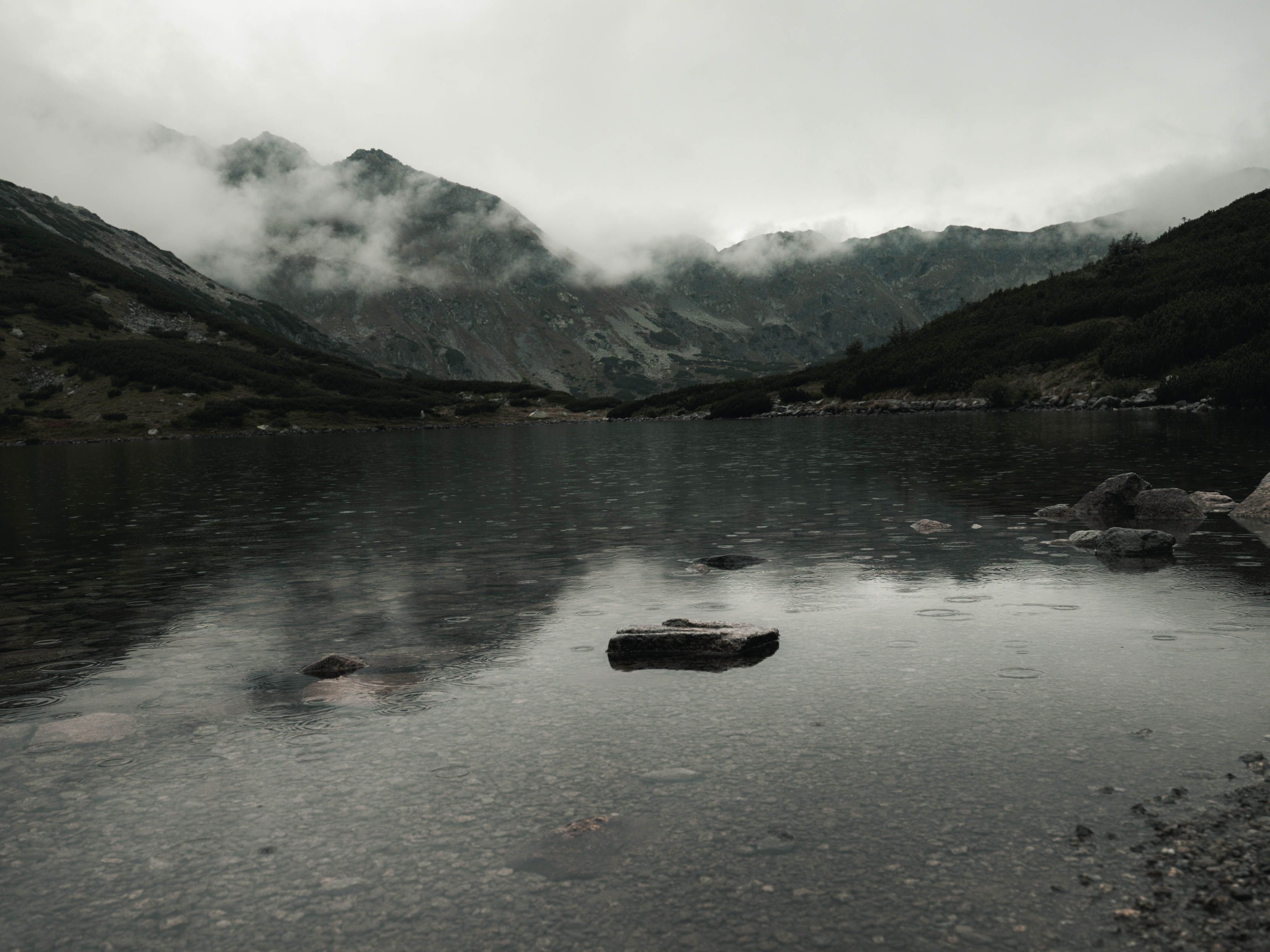 Foggy Lake · Free Stock Photo