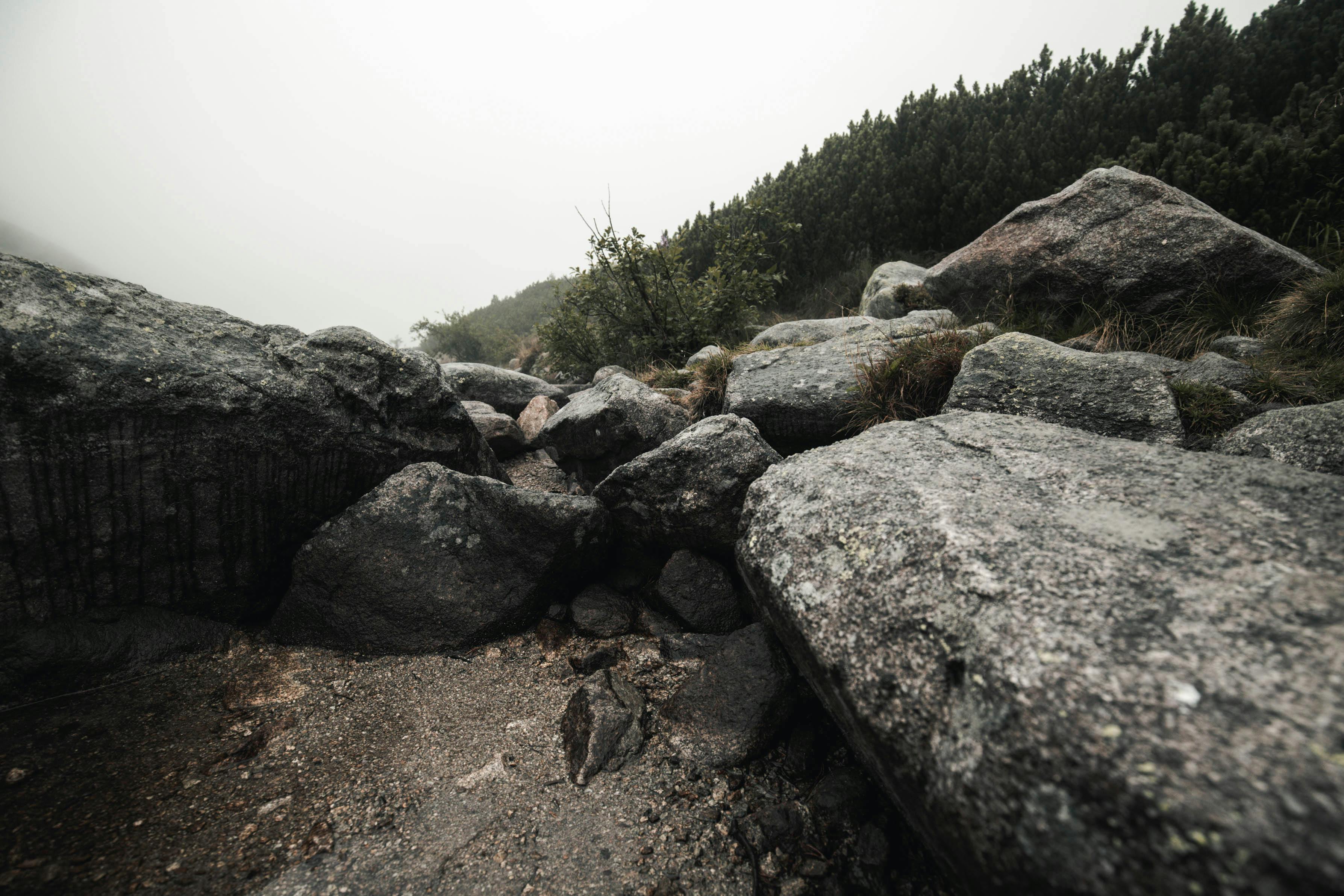 Gray Rocky Mountain With Green Trees · Free Stock Photo