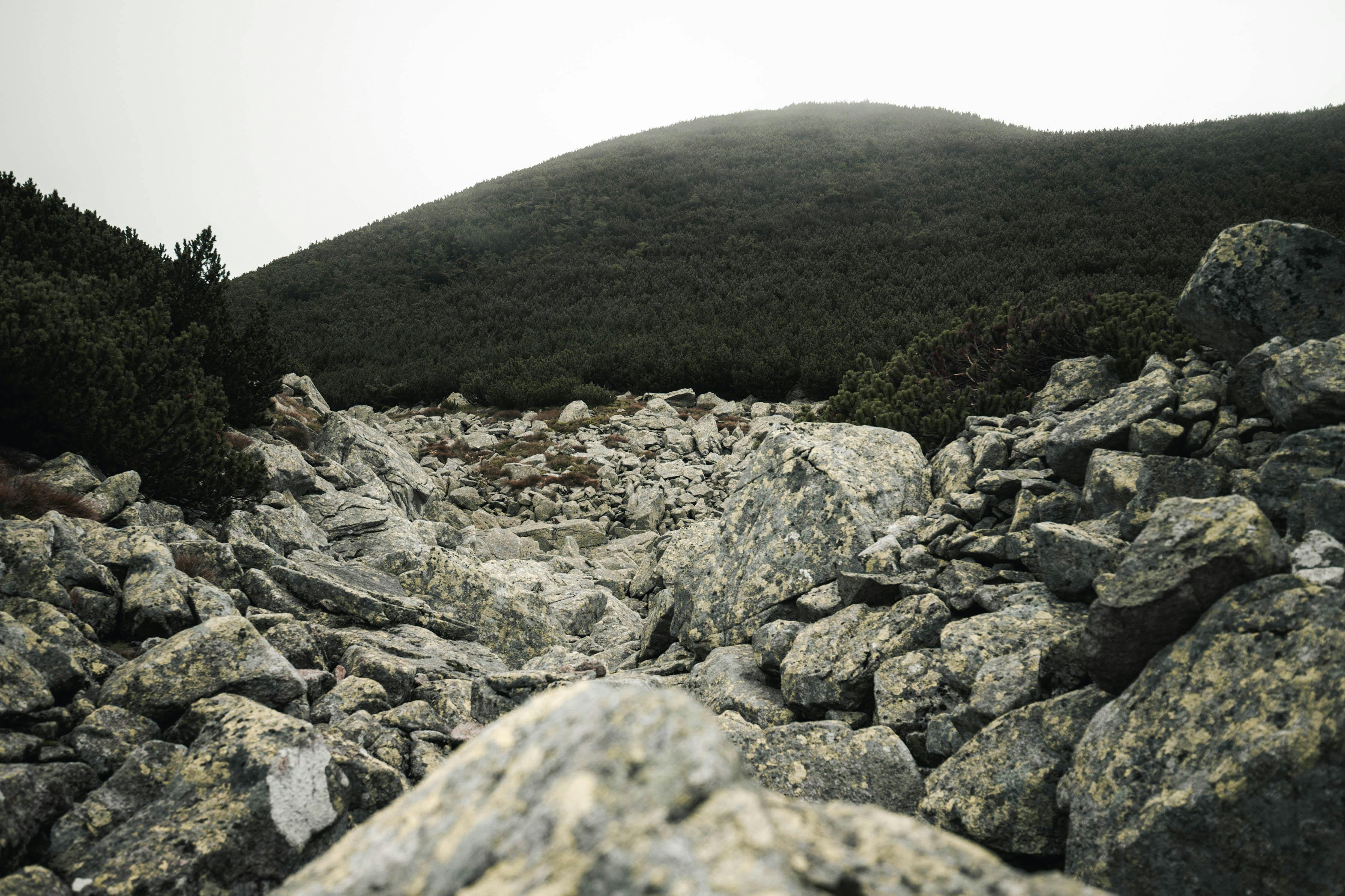 Eolian Landforms Photos, Download Free Eolian Landforms Stock Photos ...