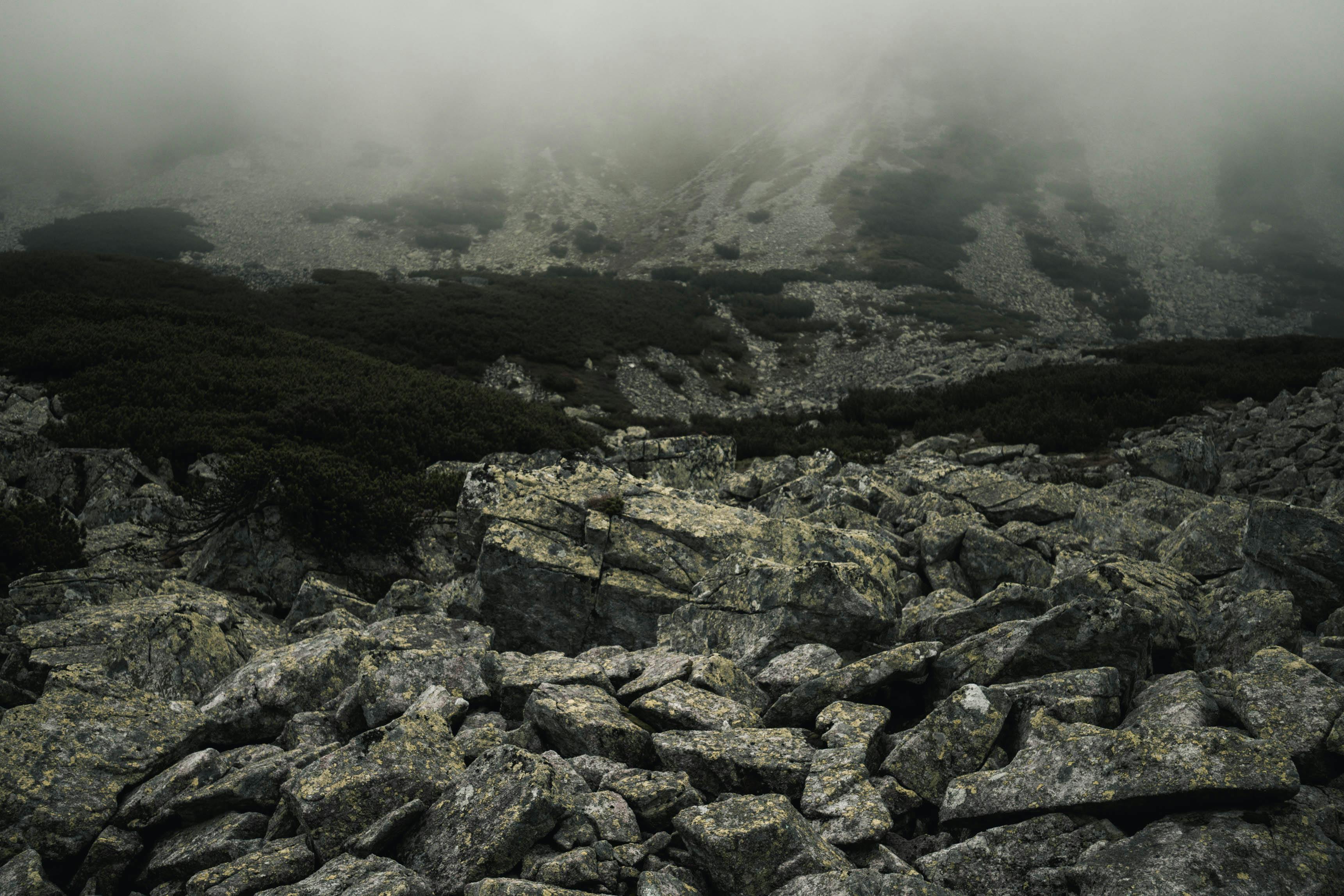 Man Looking At A Rock Formation · Free Stock Photo