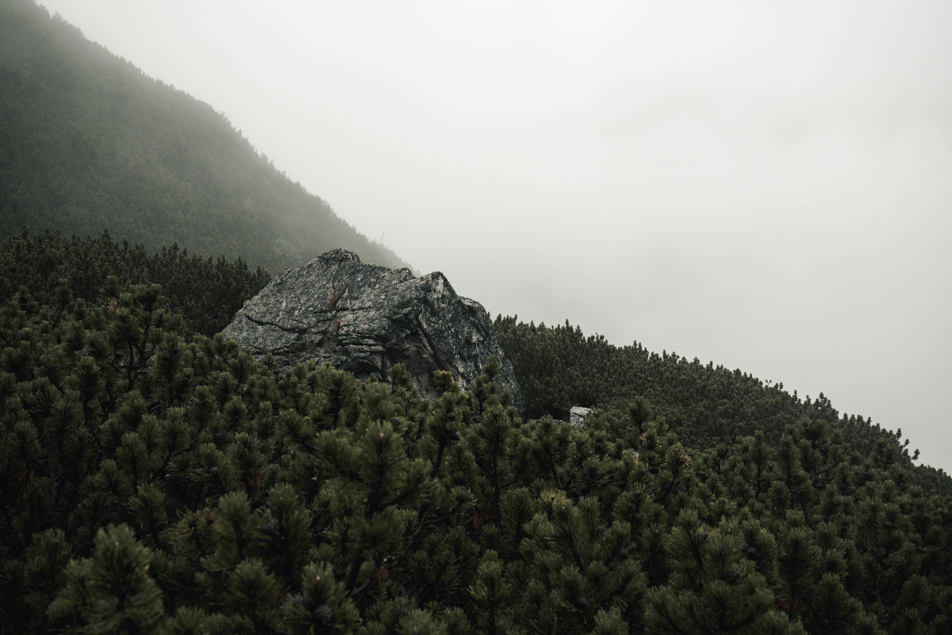 A Rock Formation Surrounded with Green Trees on Mountain · Free Stock Photo