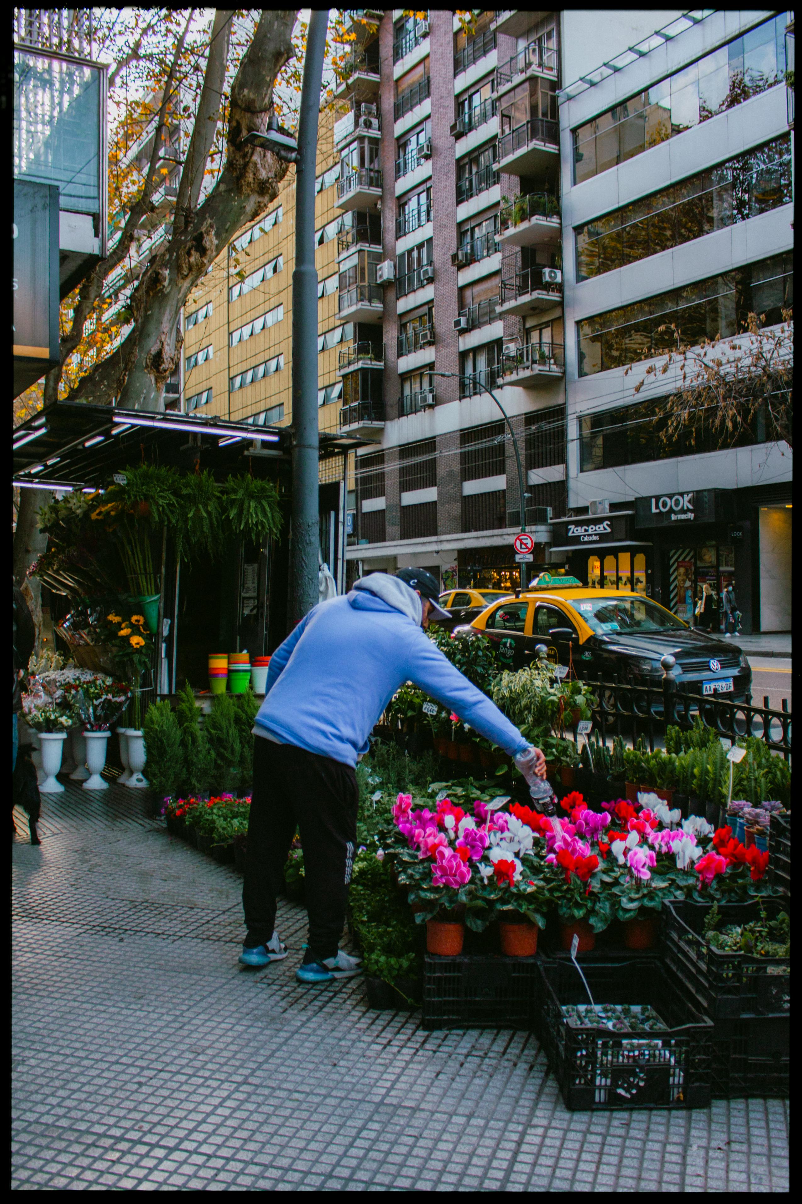 Planor Arquitectonico Photos, Download Free Planor Arquitectonico Stock ...