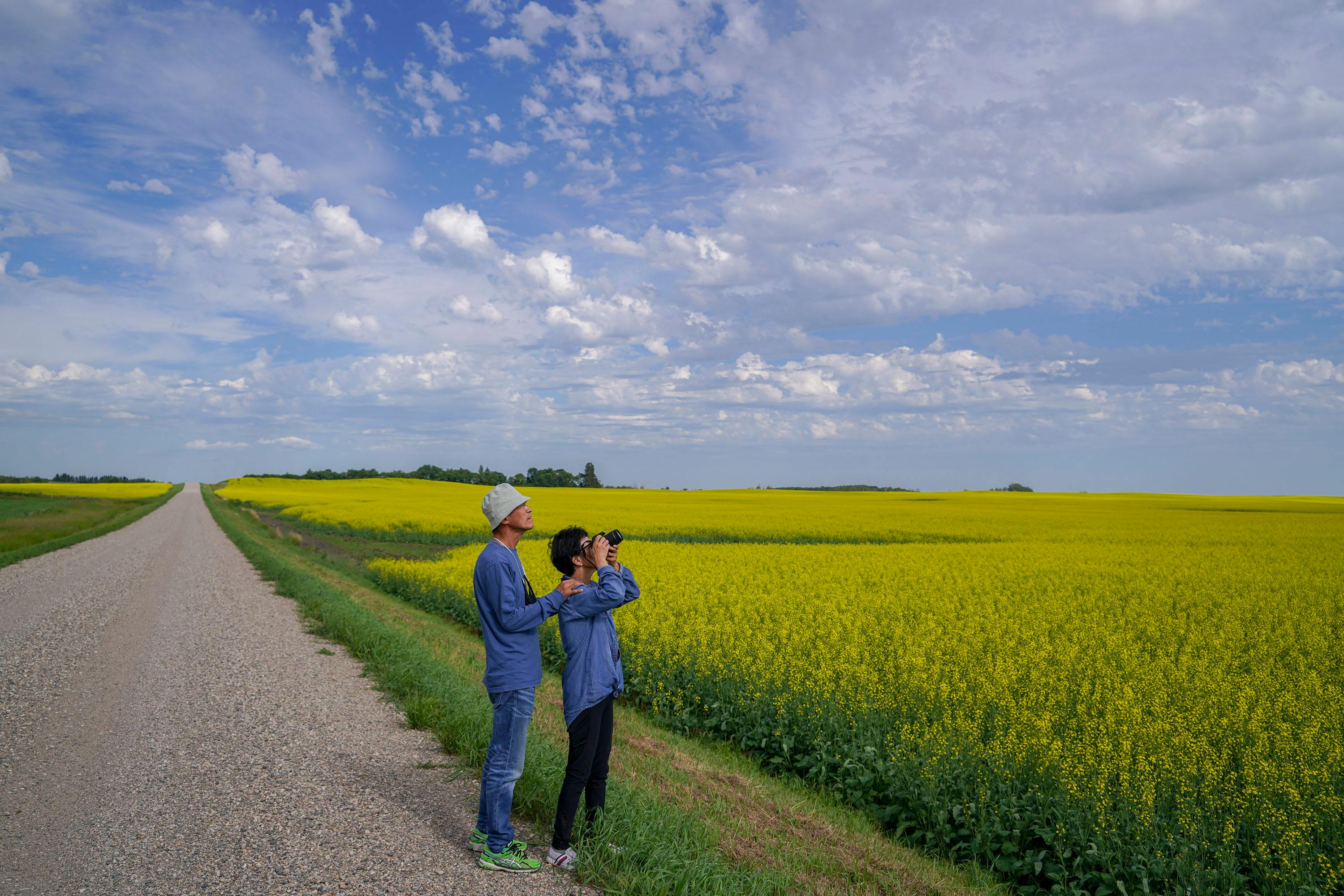 Couple Wearing Blue Long Sleeve Shirts Standing Near Flower Field ...
