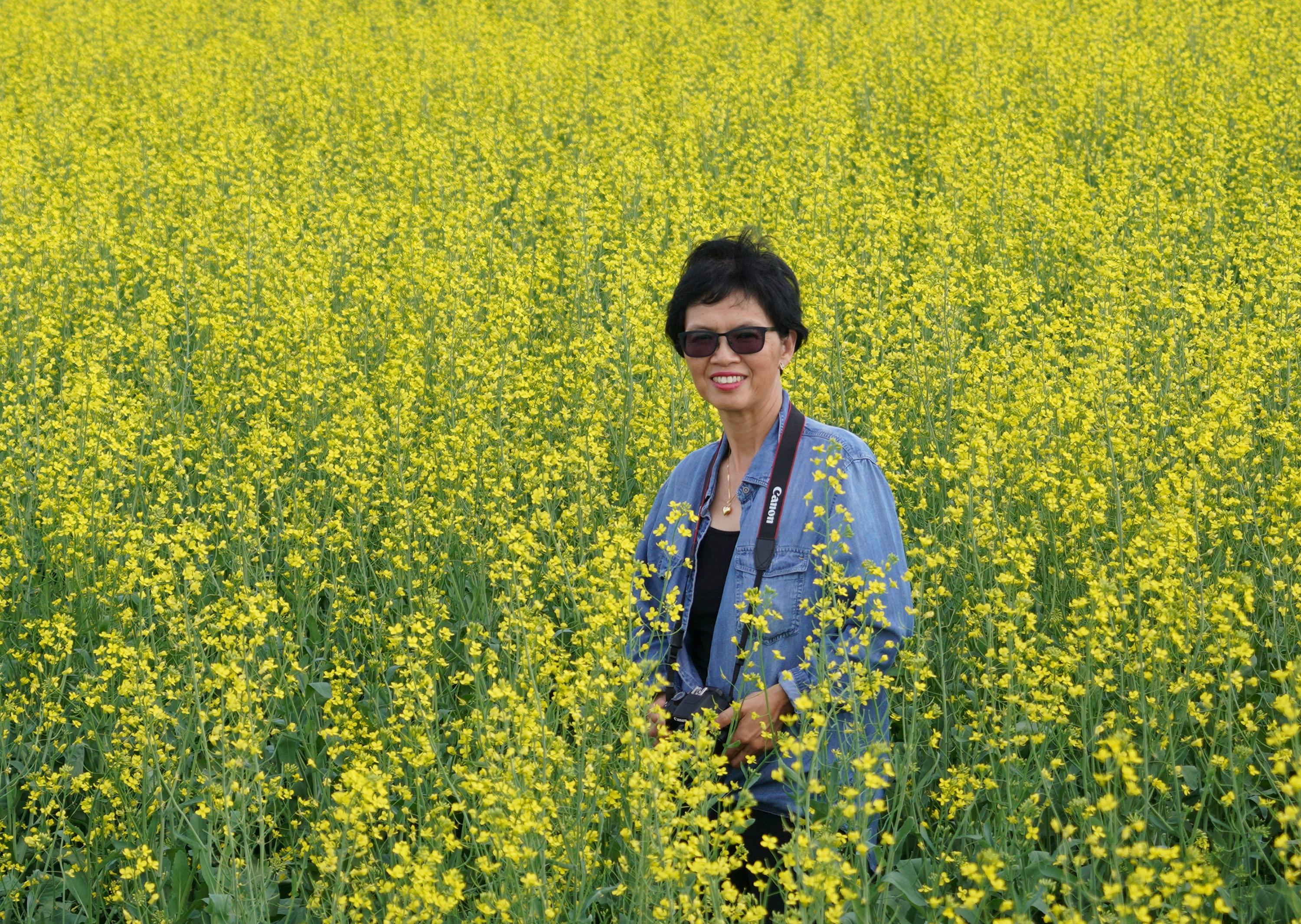 Growing Canola In Wisconsin