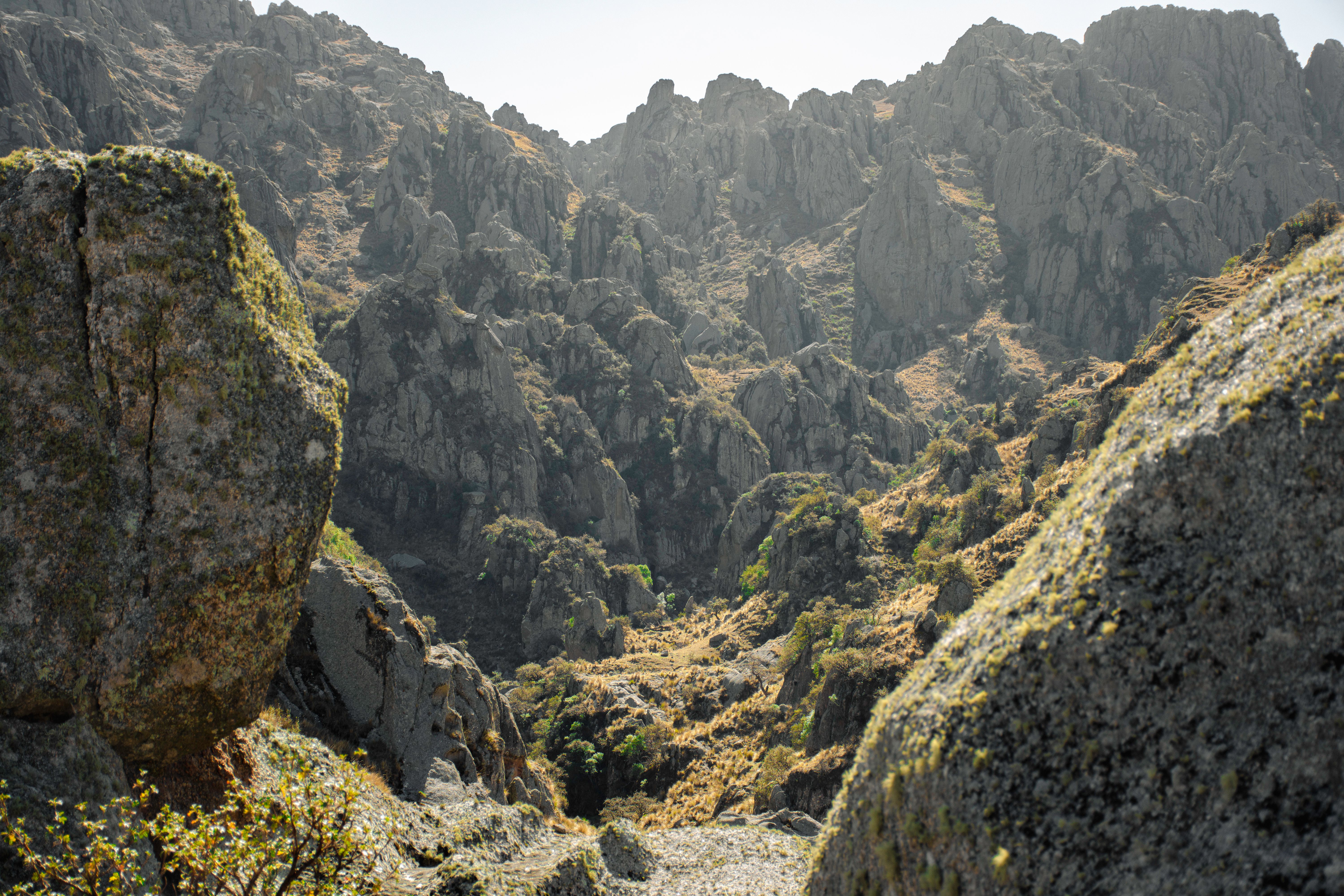 Landscape of Rocky Mountains · Free Stock Photo