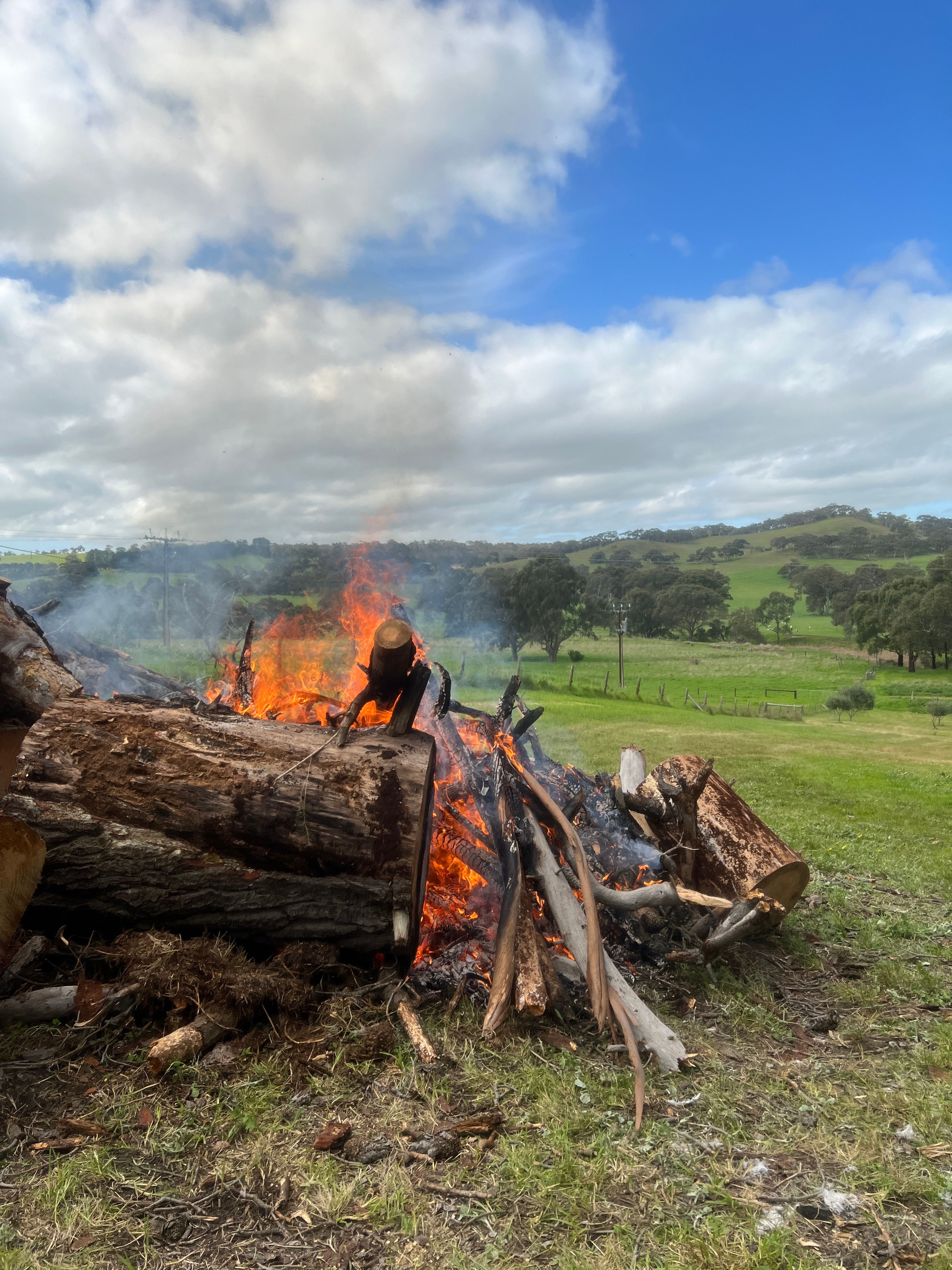 A Fire in a Field · Free Stock Photo