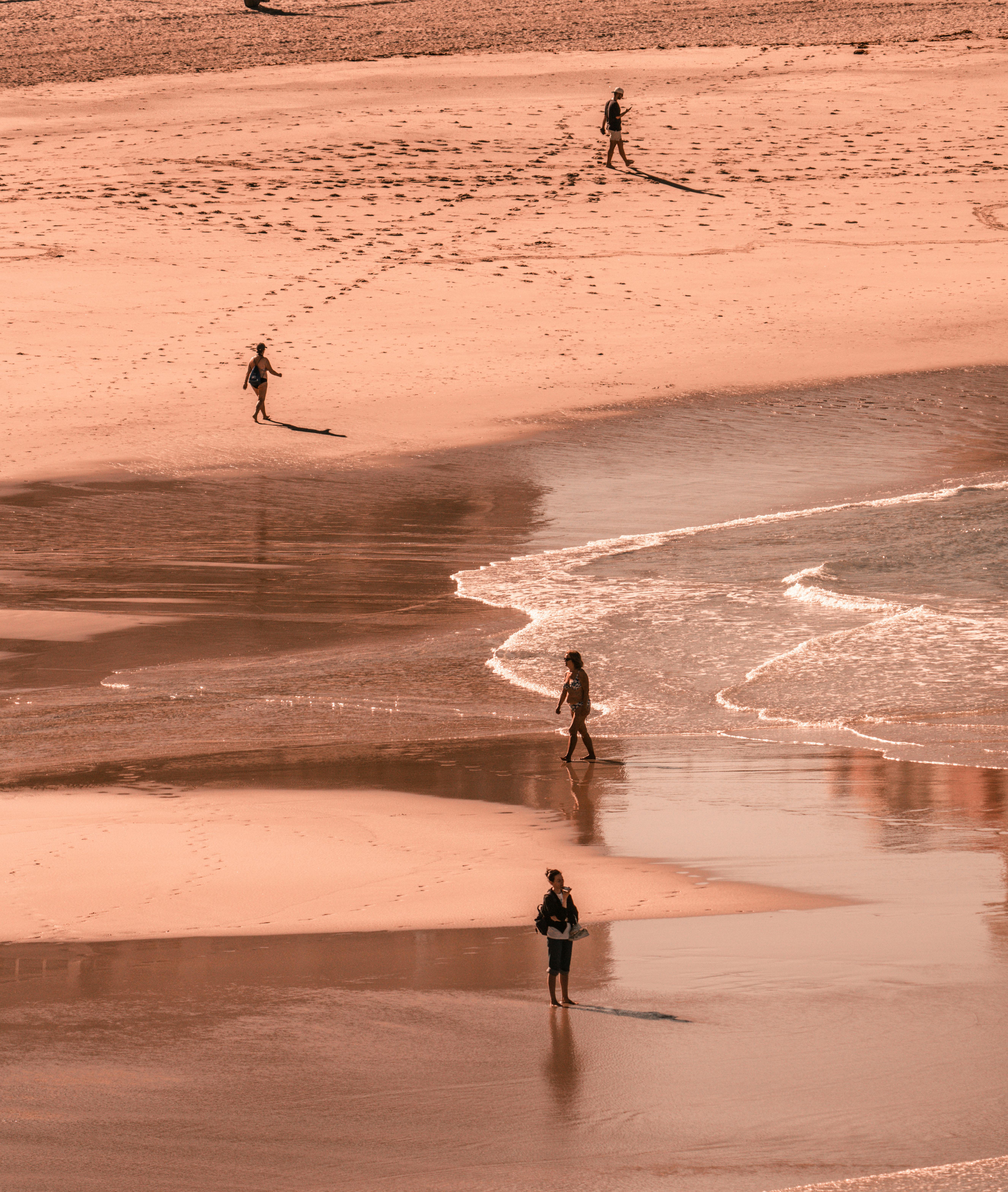 People Waling at the Beach · Free Stock Photo