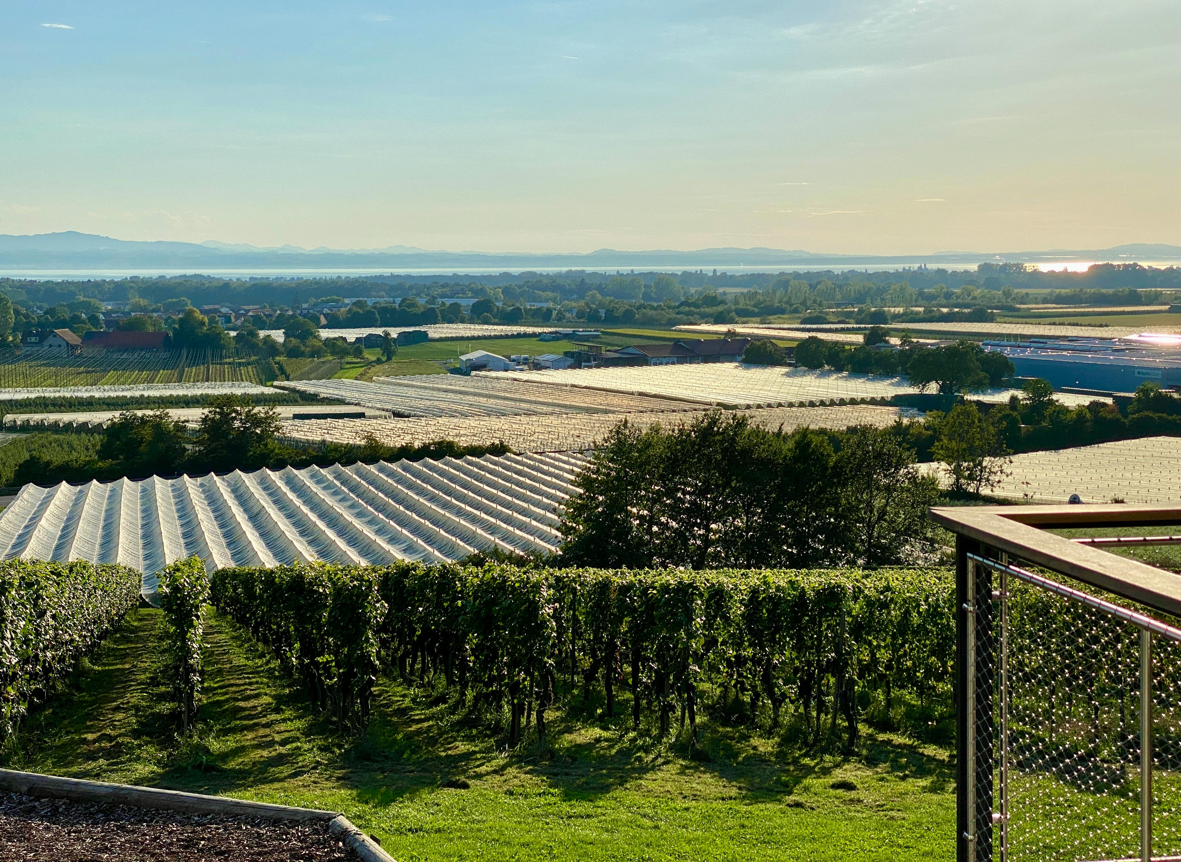 Rural Cambodia Photos, Download The BEST Free Rural Cambodia Stock ...