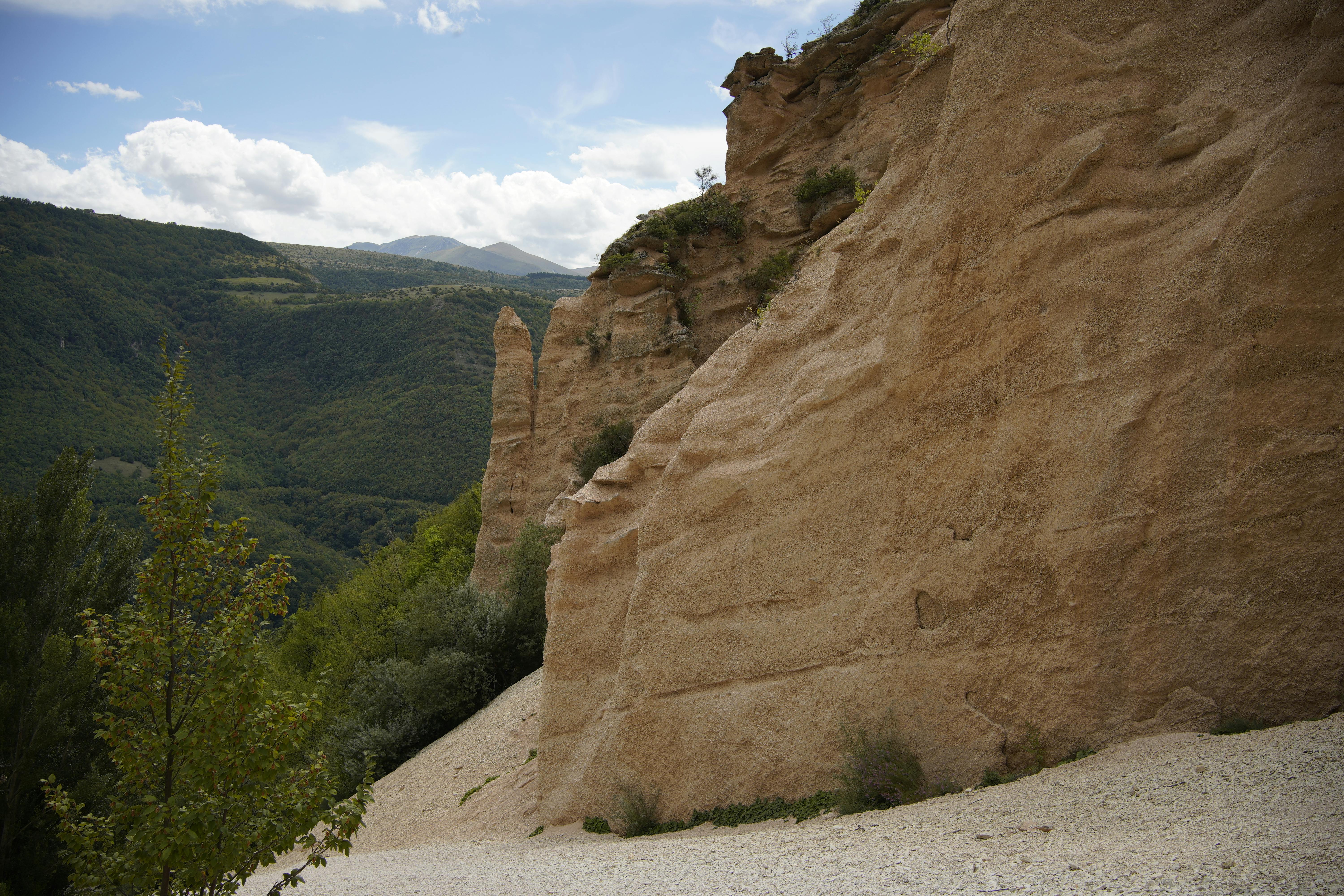 A Rock Formation Near the Green Trees on Mountain · Free Stock Photo