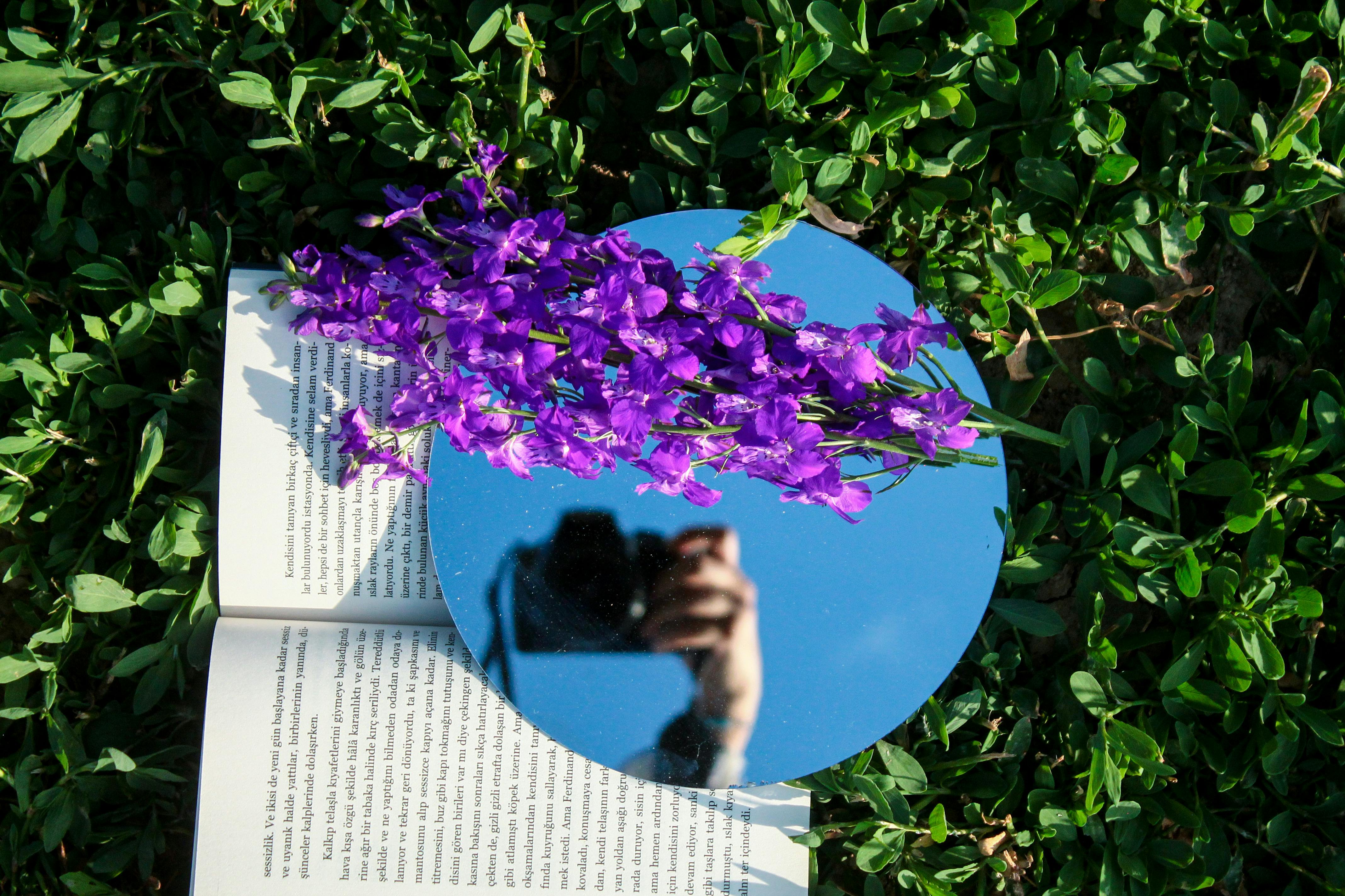 White Petaled Flower Reflection From Small Round Mirror · Free Stock Photo