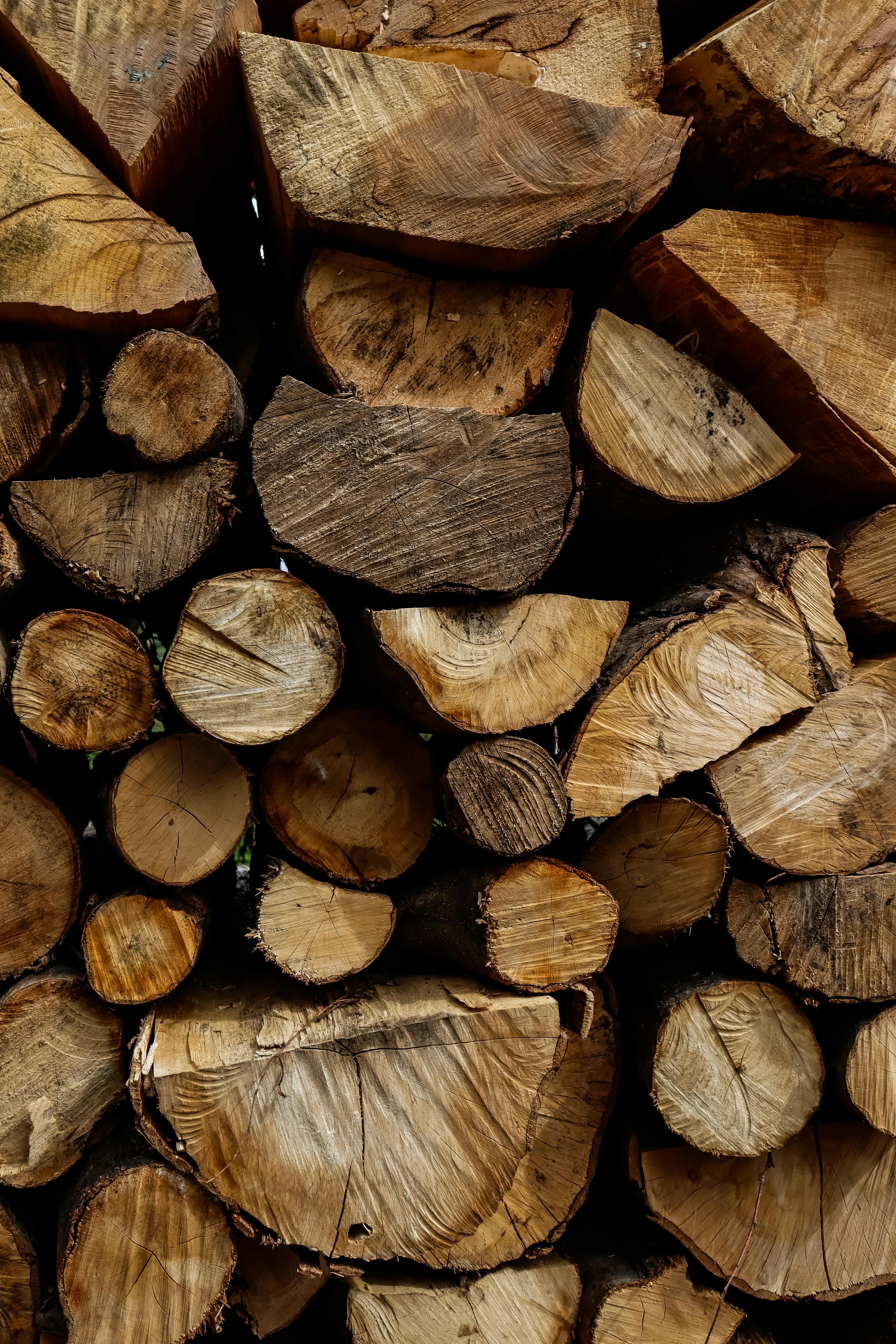 A Stack of Firewood · Free Stock Photo