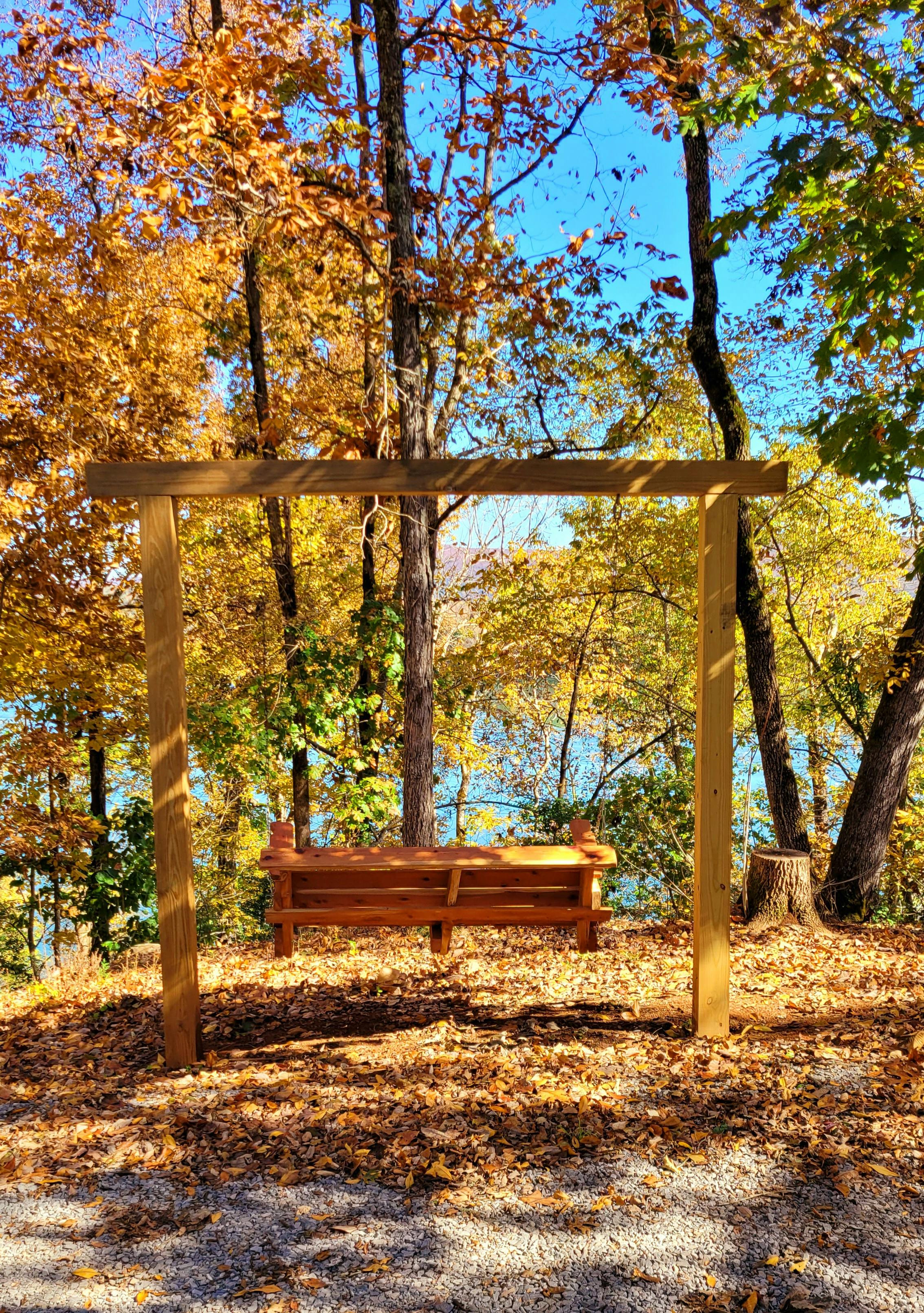 Wooden Swing in a Forest in Autumn · Free Stock Photo