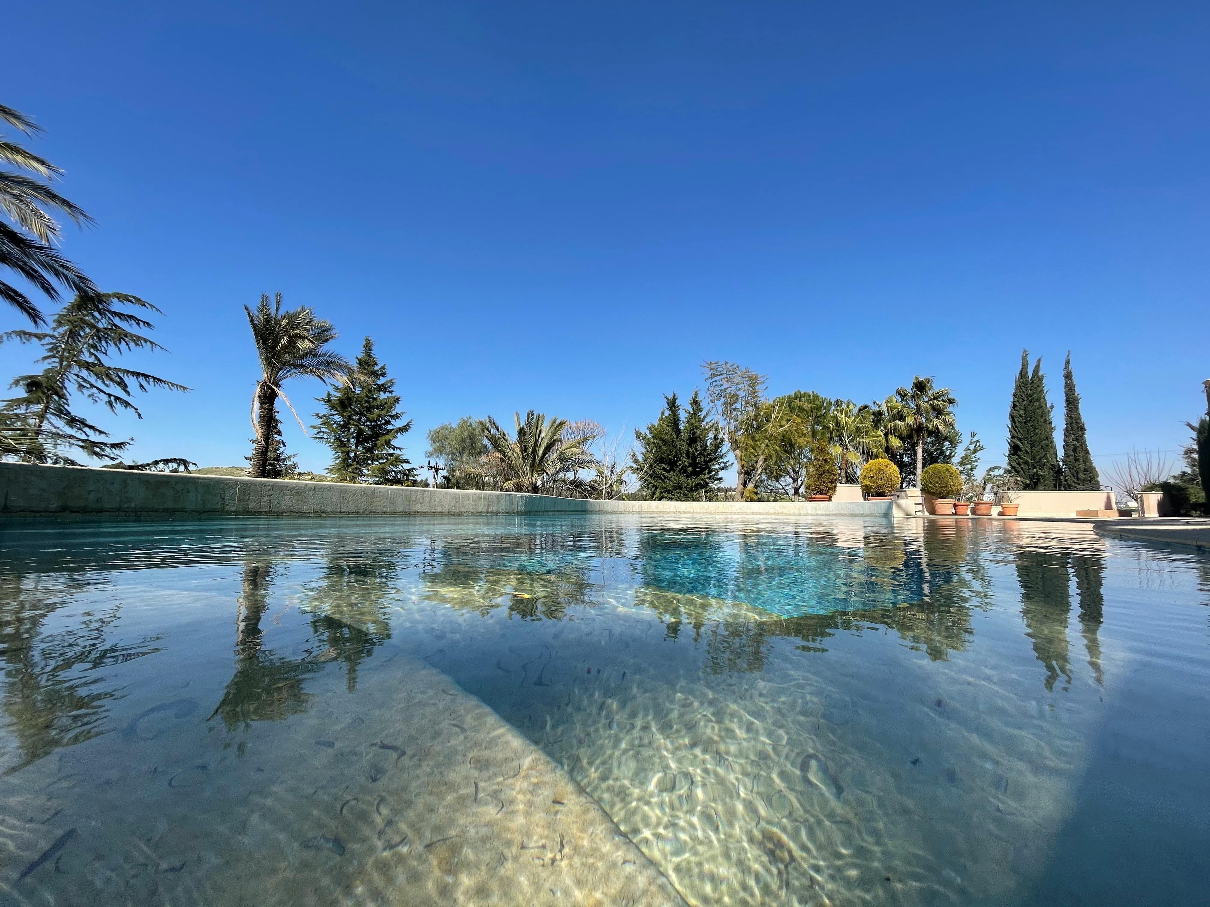 Omair Tabikh - Photography