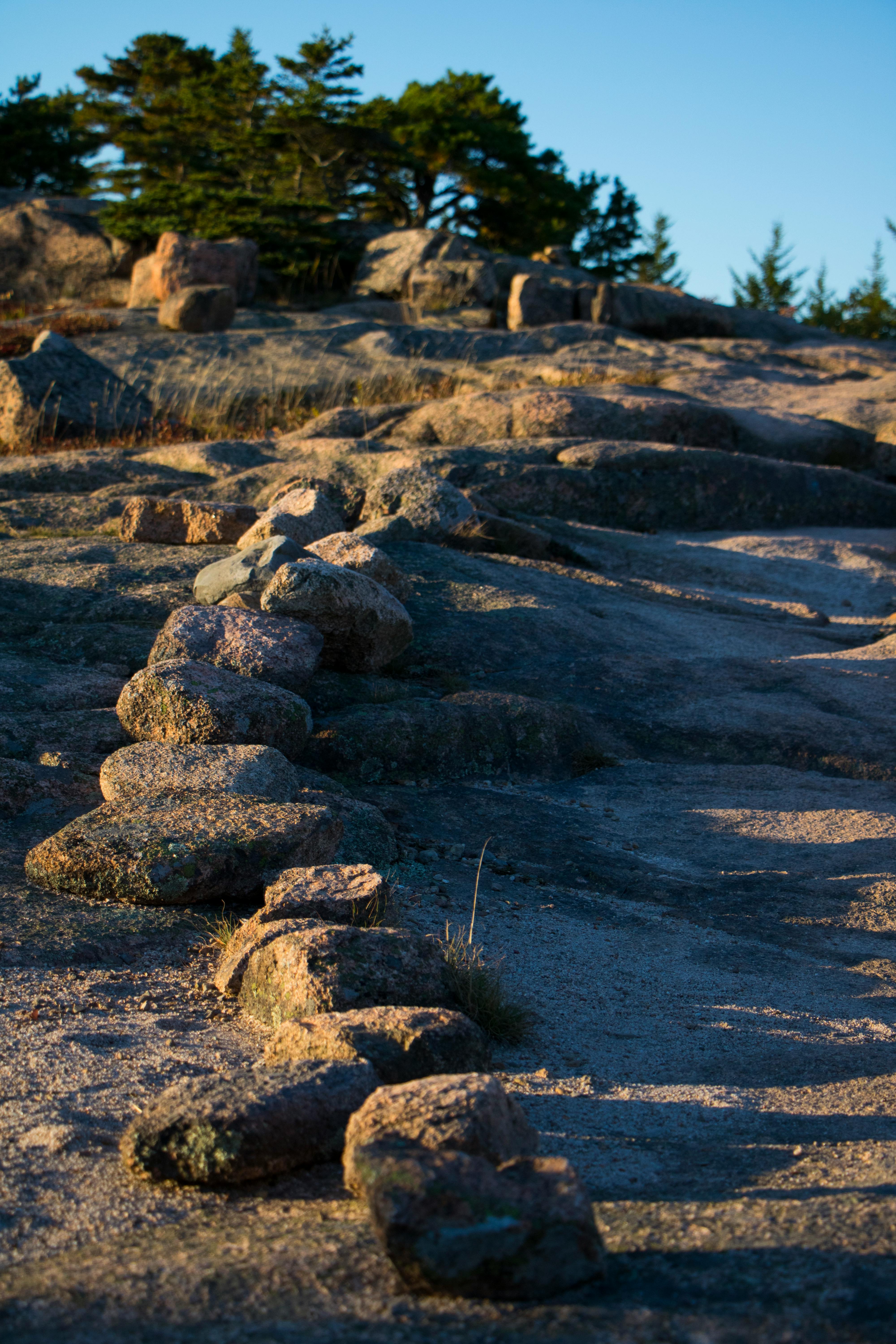 Rocks on a Beach · Free Stock Photo