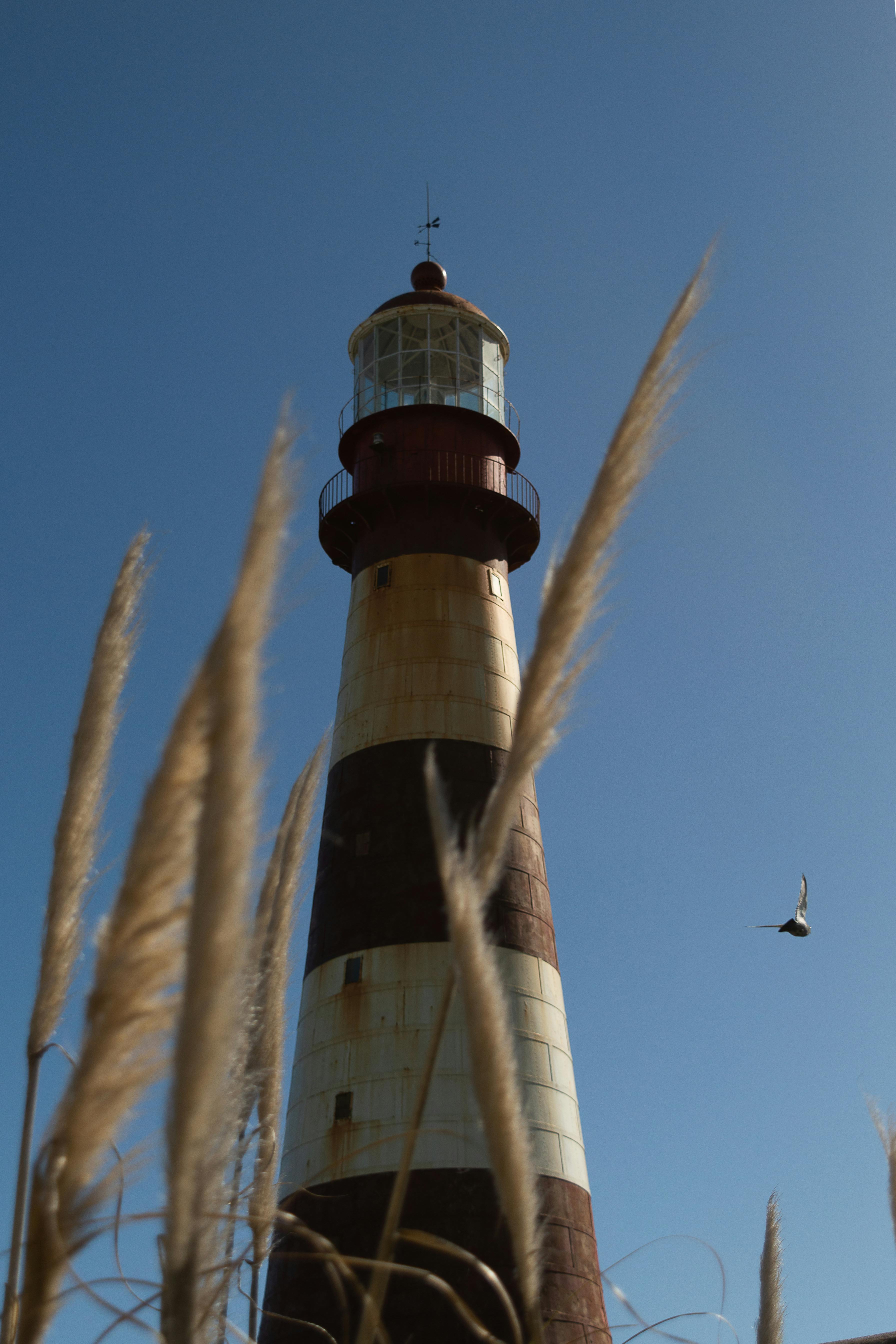 Delimara Lighthouse Photos, Download The BEST Free Delimara Lighthouse ...