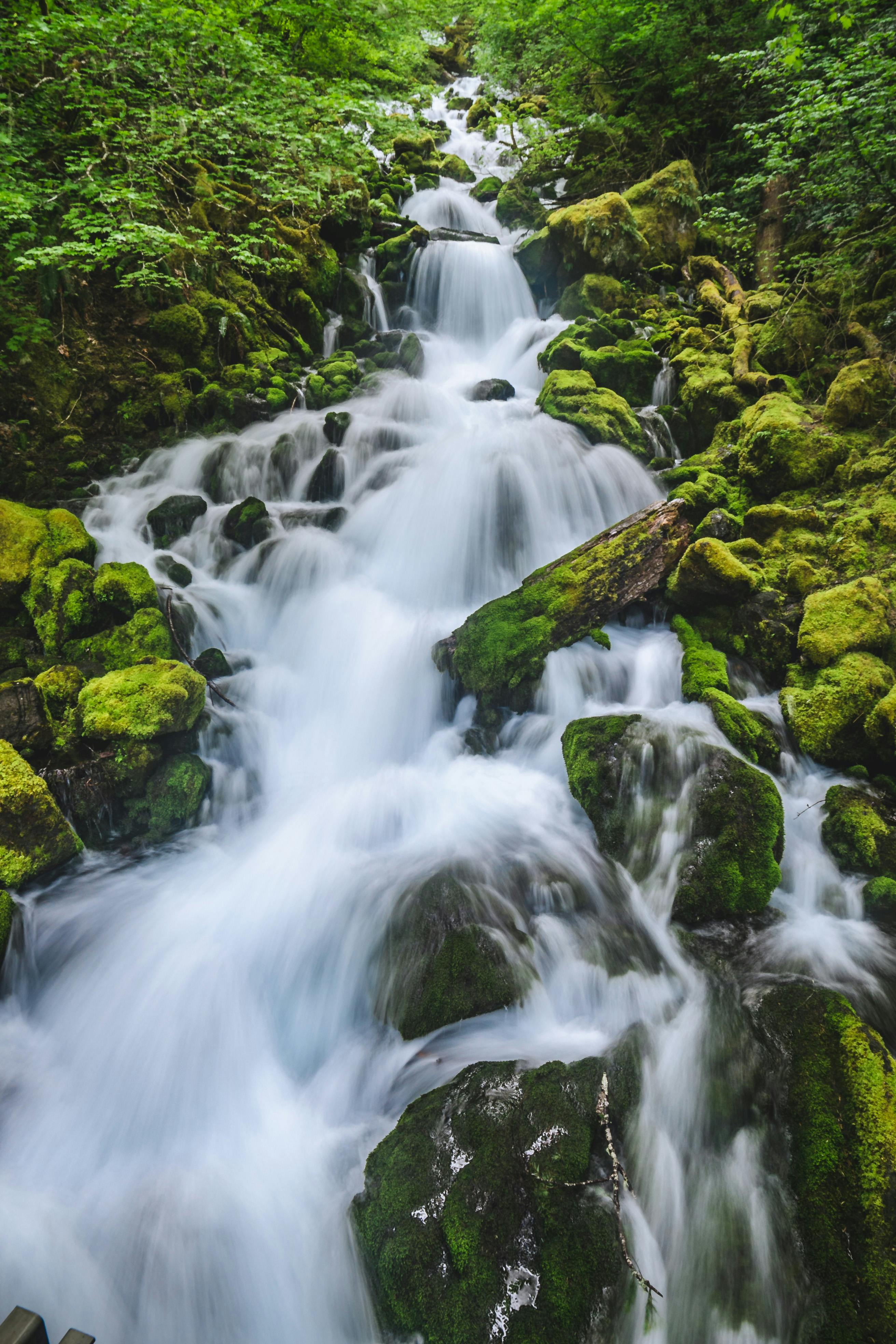 Mountain Stream Cascading down the Rocks · Free Stock Photo