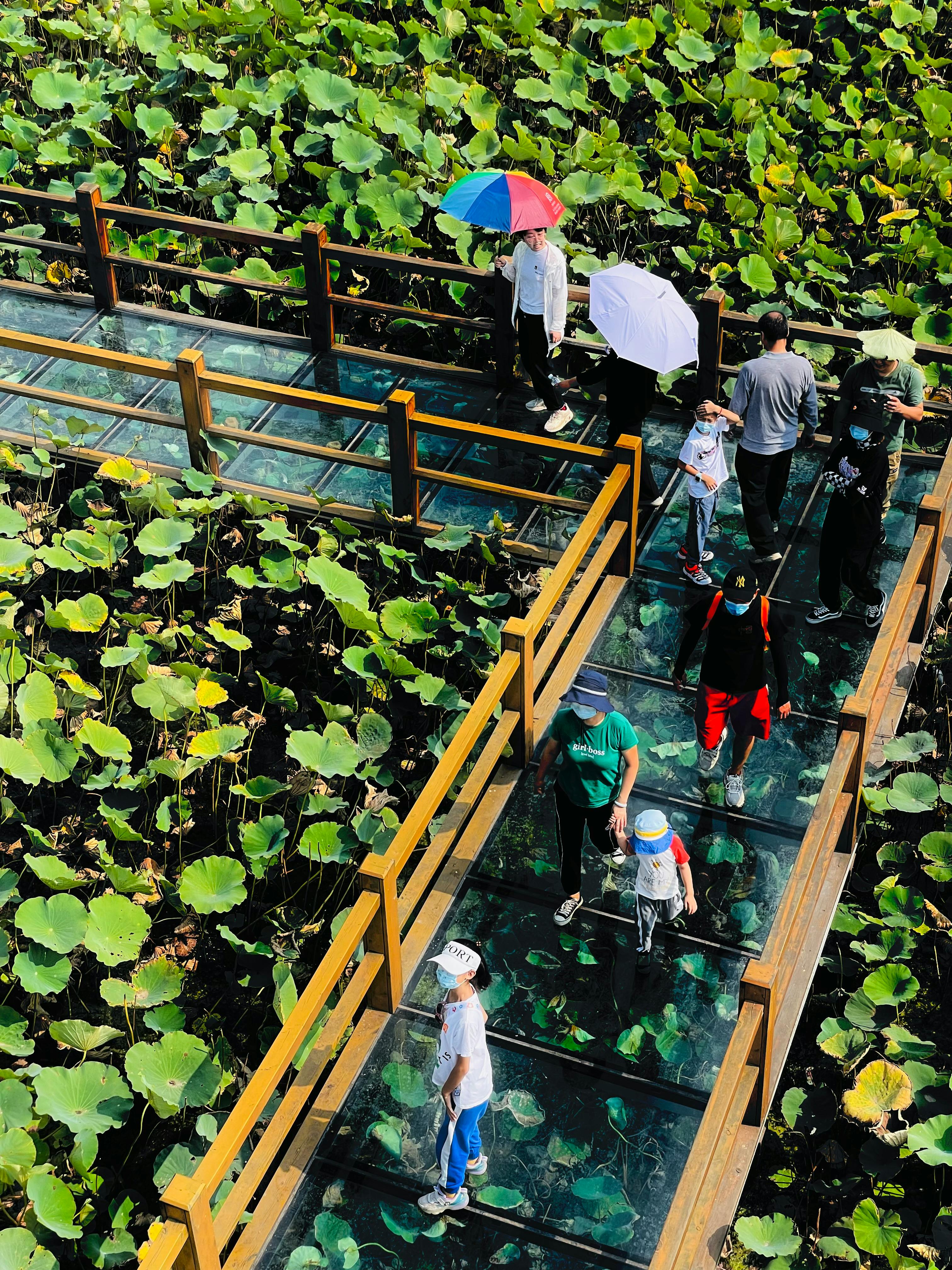 Jinnan District Photos, Download The BEST Free Jinnan District Stock ...