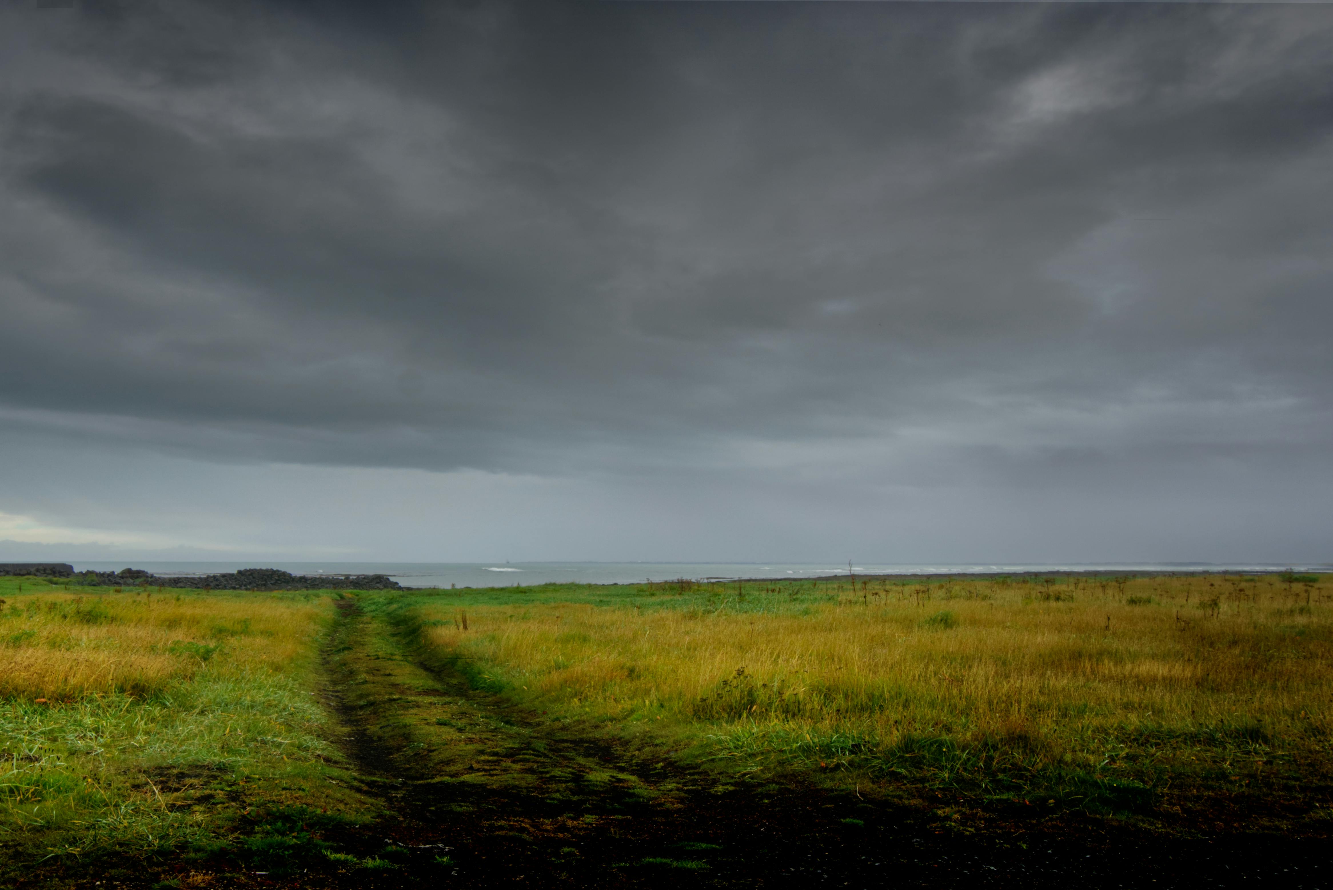 Field under Dark Clouds · Free Stock Photo