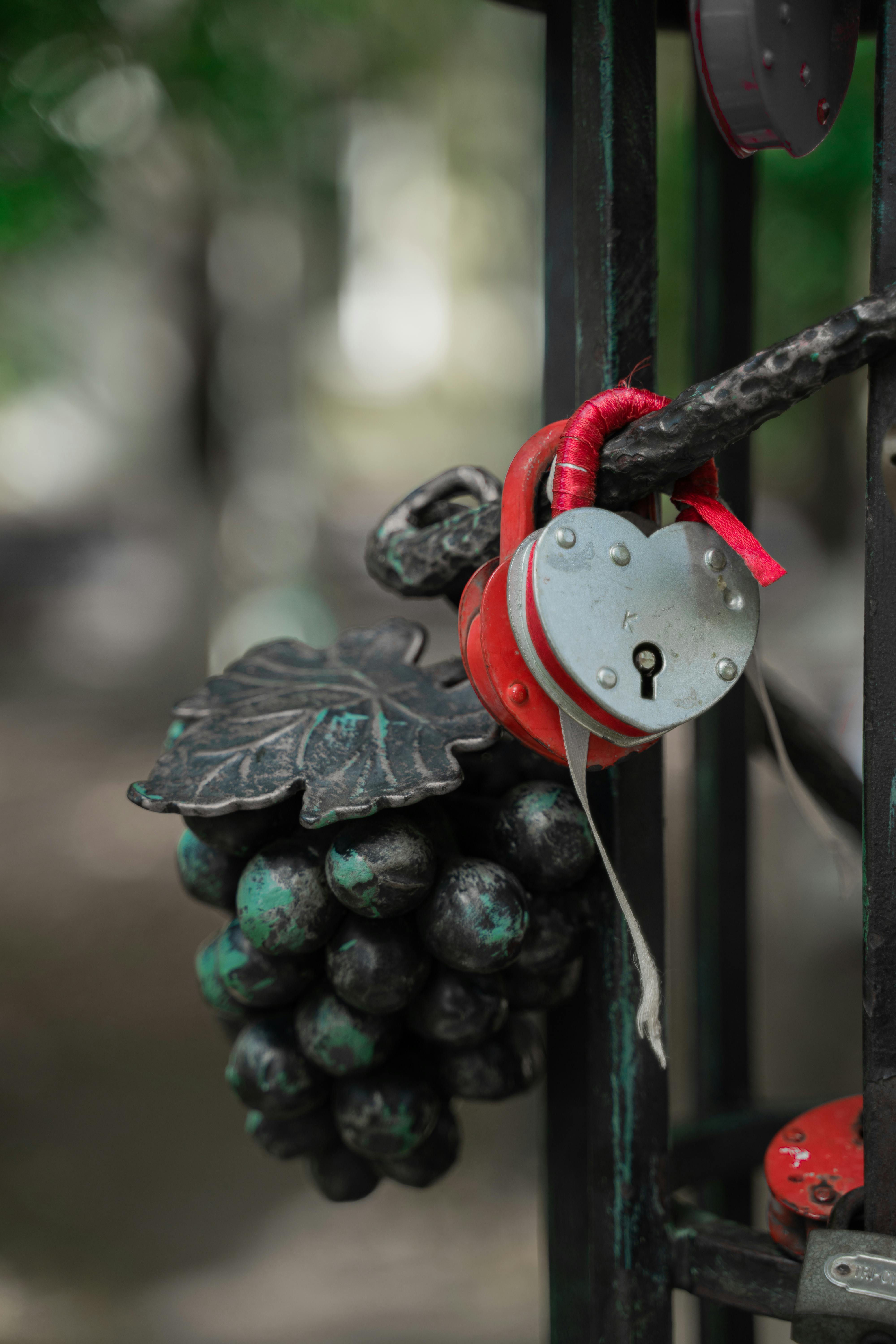 Assorted-color-shaped Padlocks Hanging on Grey Metal · Free Stock Photo