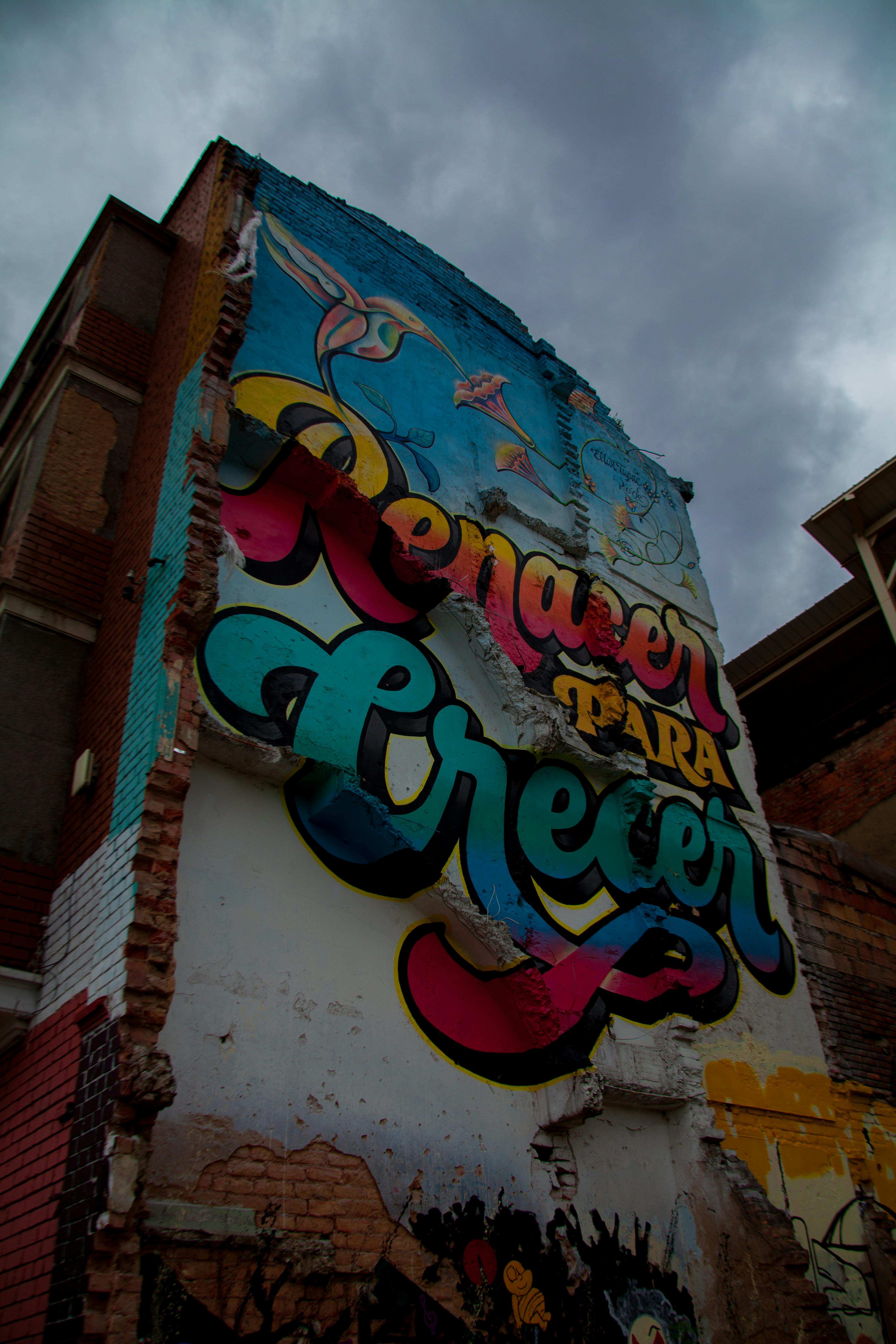 Laura Contreras - Fotografía