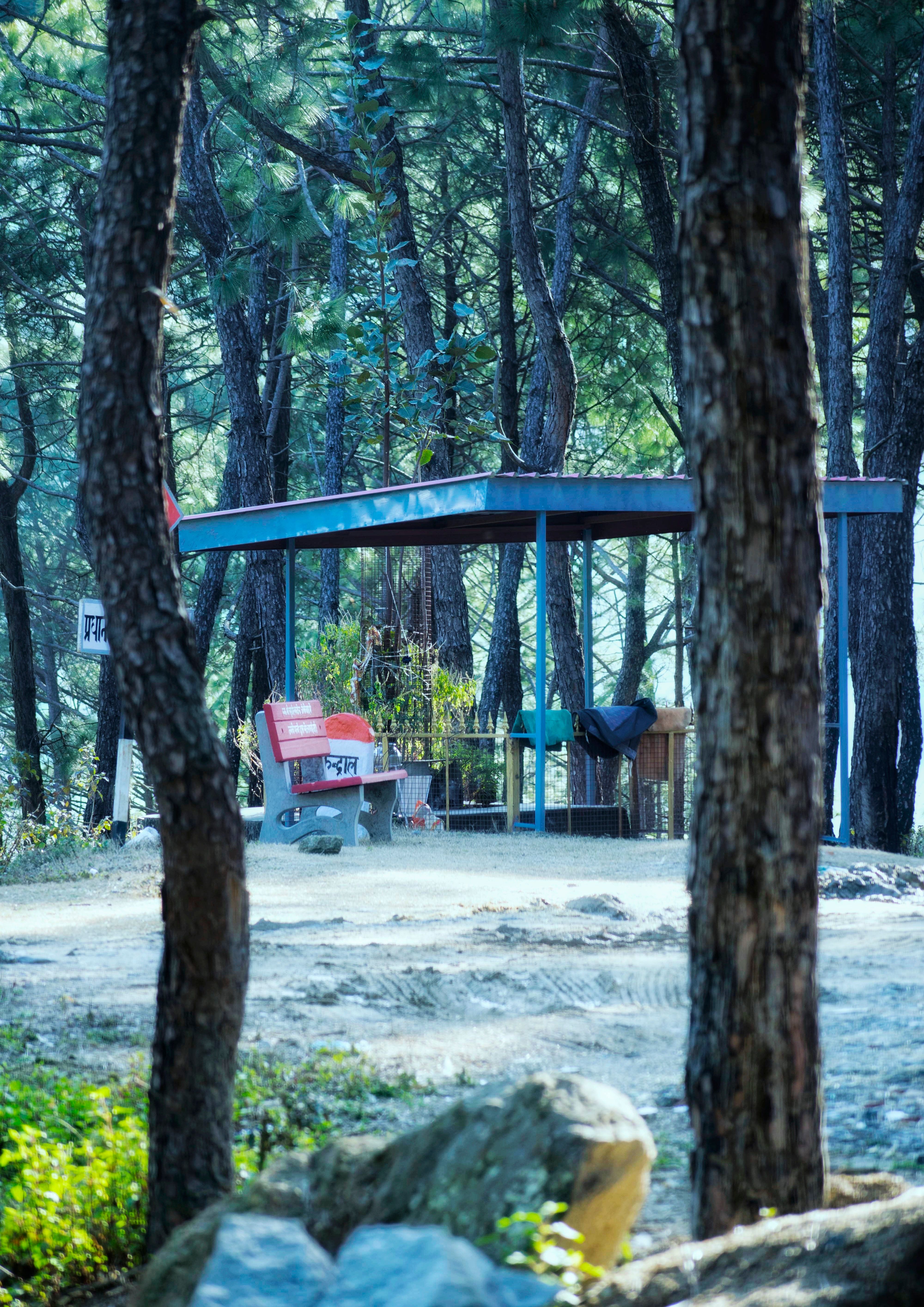 Gazebo in the Forest Park · Free Stock Photo