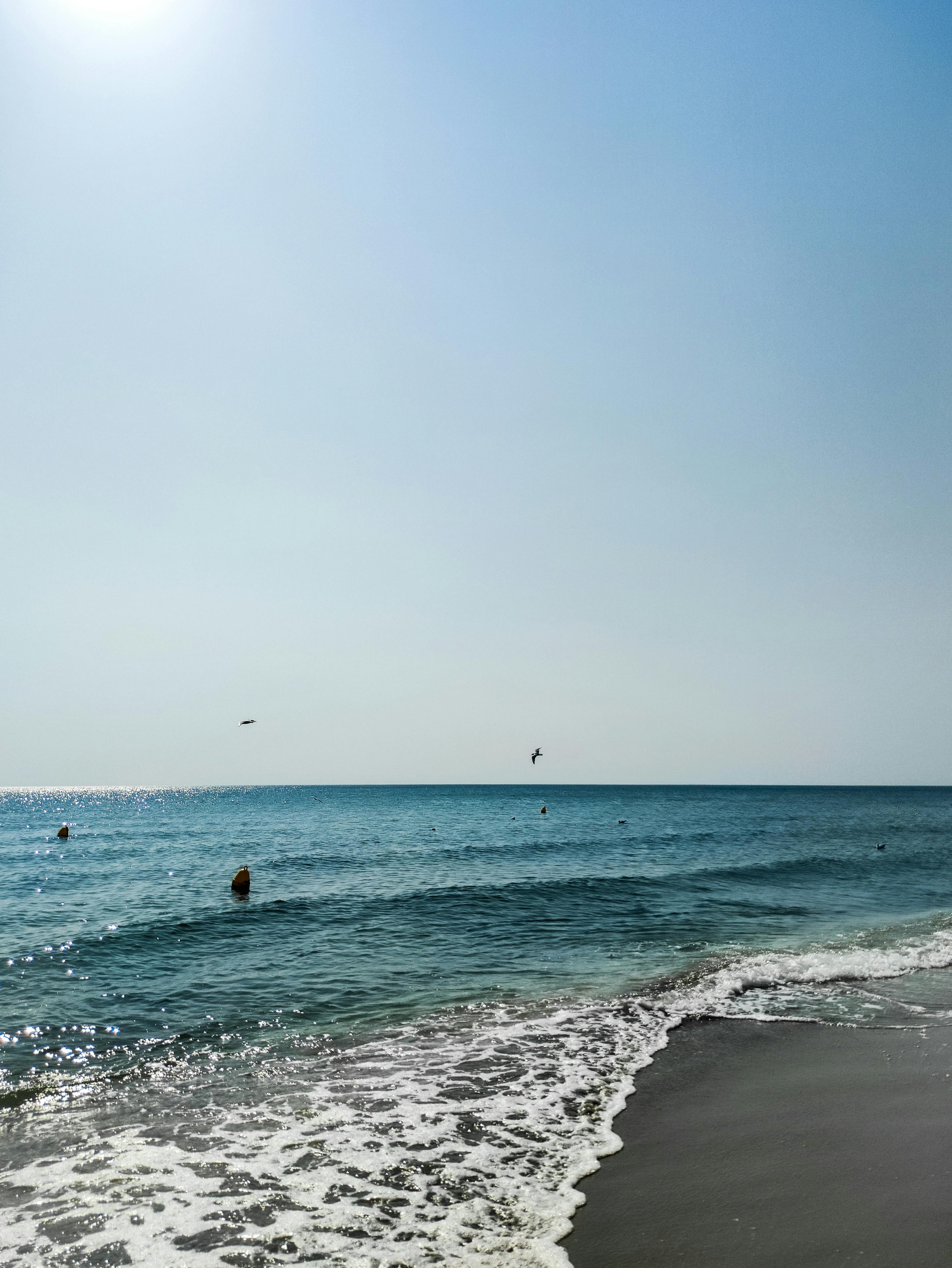 People Sunbathing on the Beach · Free Stock Photo
