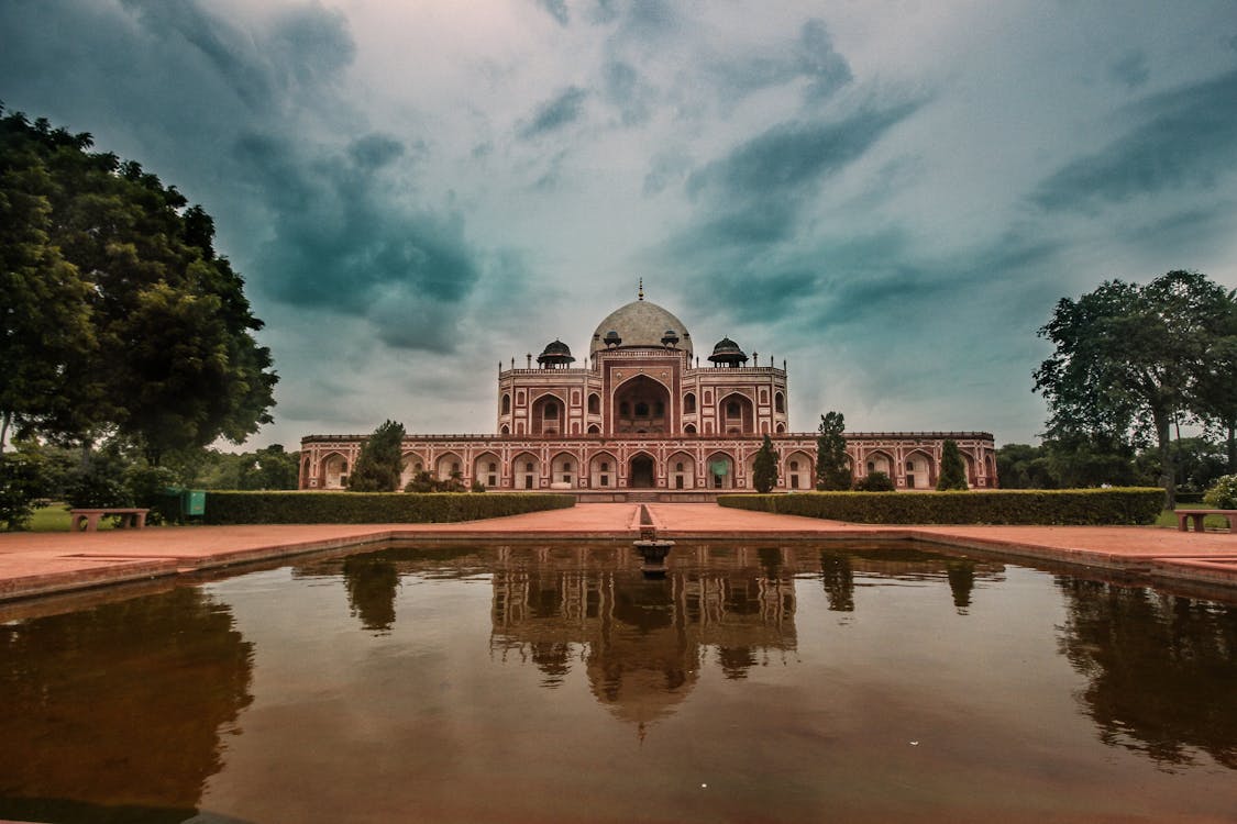 Free stock photo of almond, delhi, history Free stock photo of almond, delhi, history
