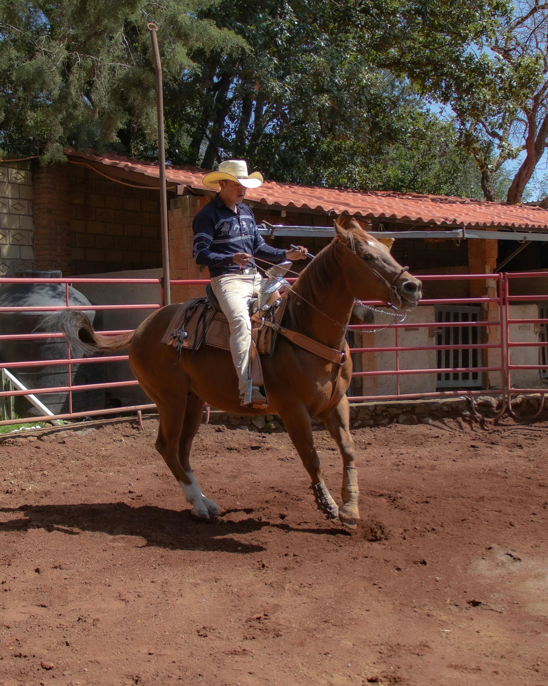 A Man Riding a Horse · Free Stock Photo