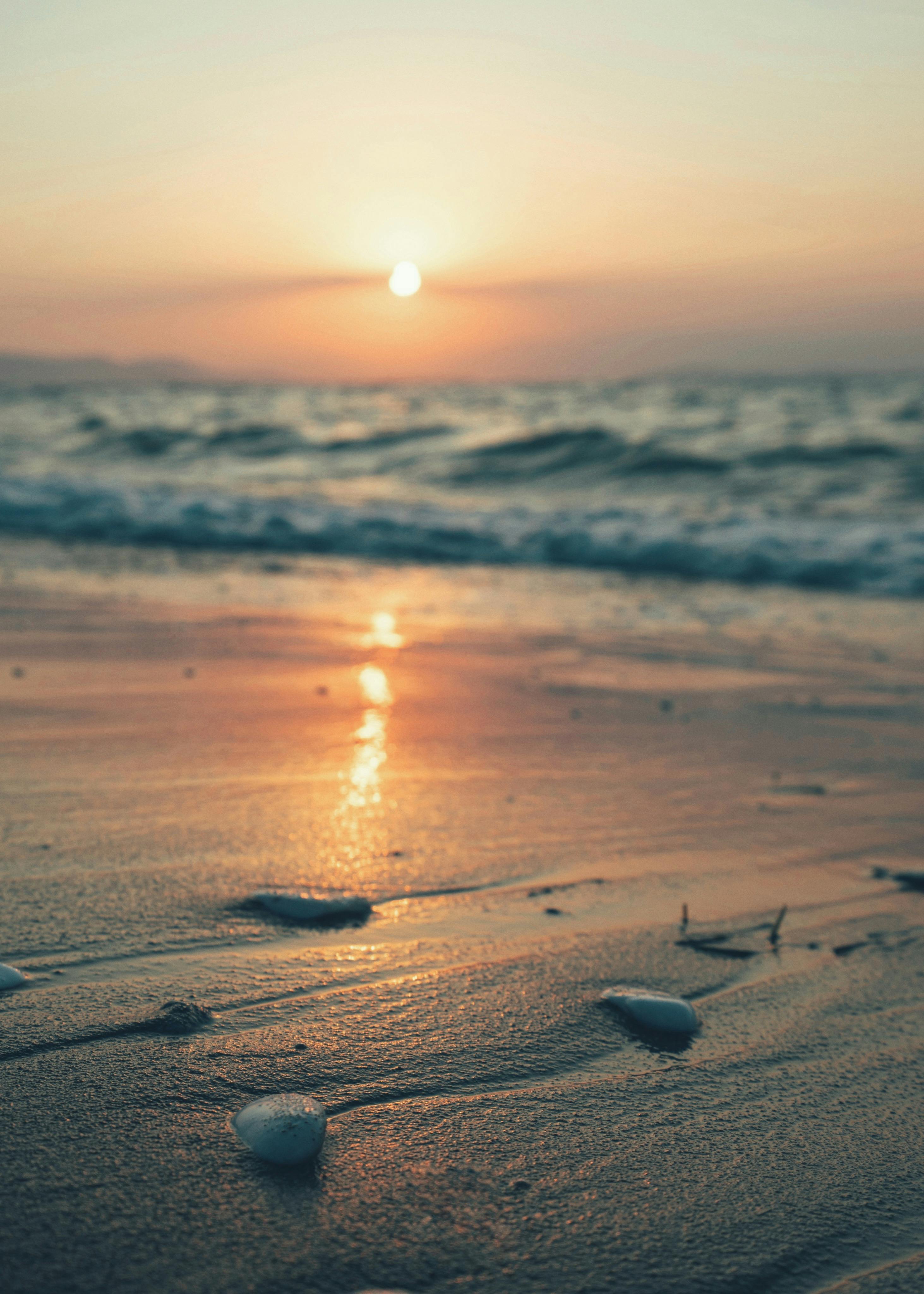 Ocean View During Sunset · Free Stock Photo