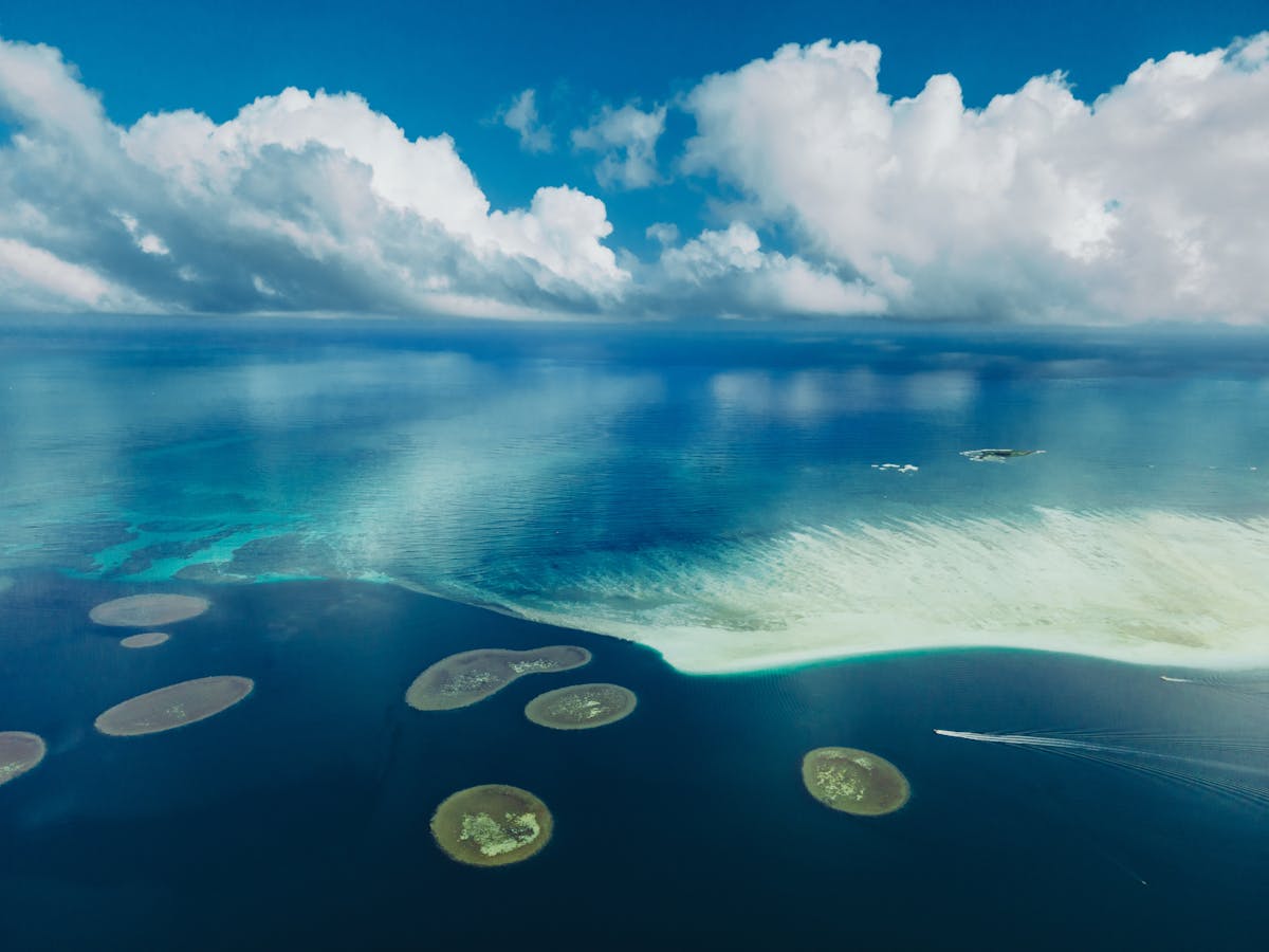 40,000+张最精彩的“Sed Wallpaper”图片 · 100%免费下载 · Pexels素材图片