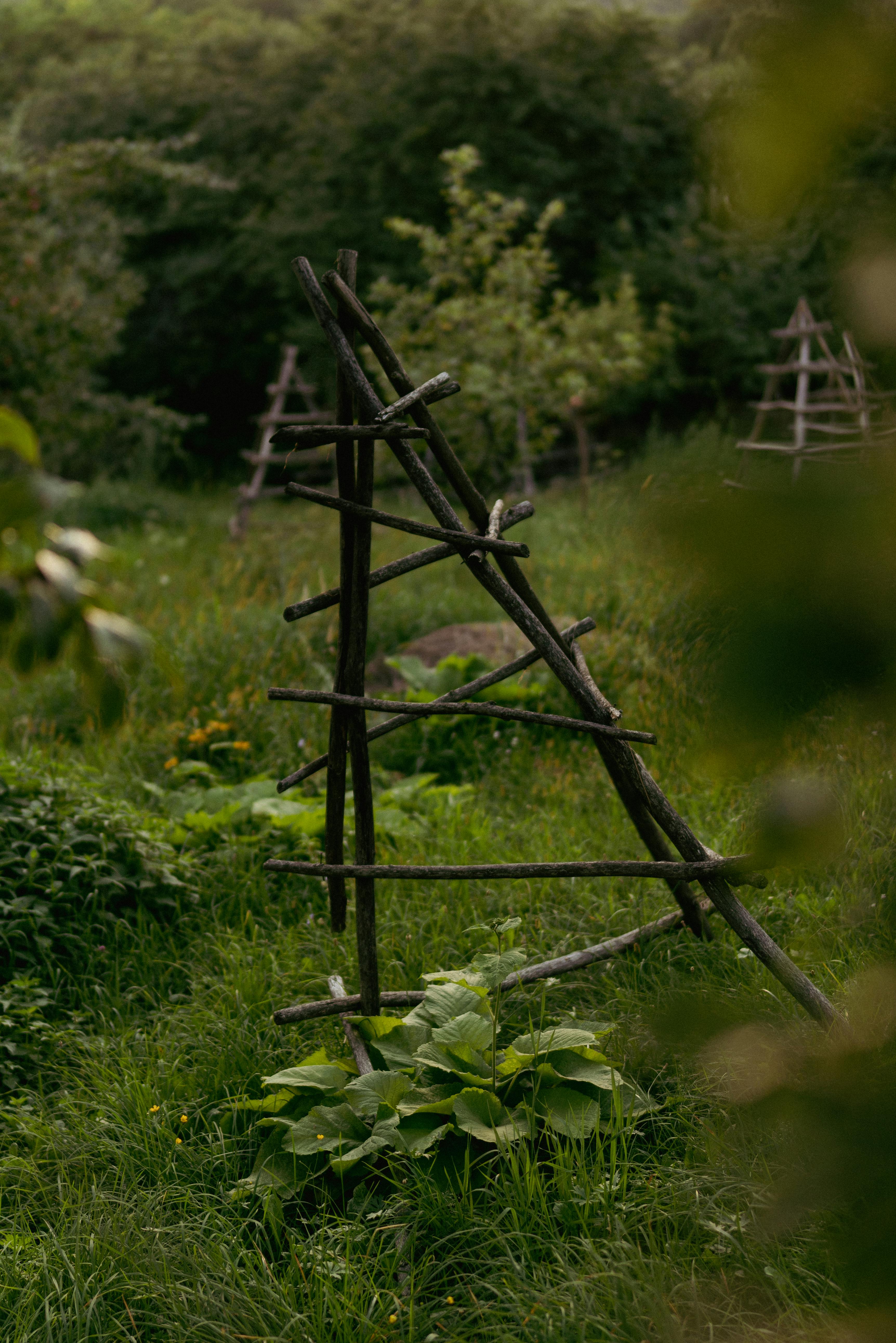 Frame For Haystack Photos, Download The BEST Free Frame For Haystack ...