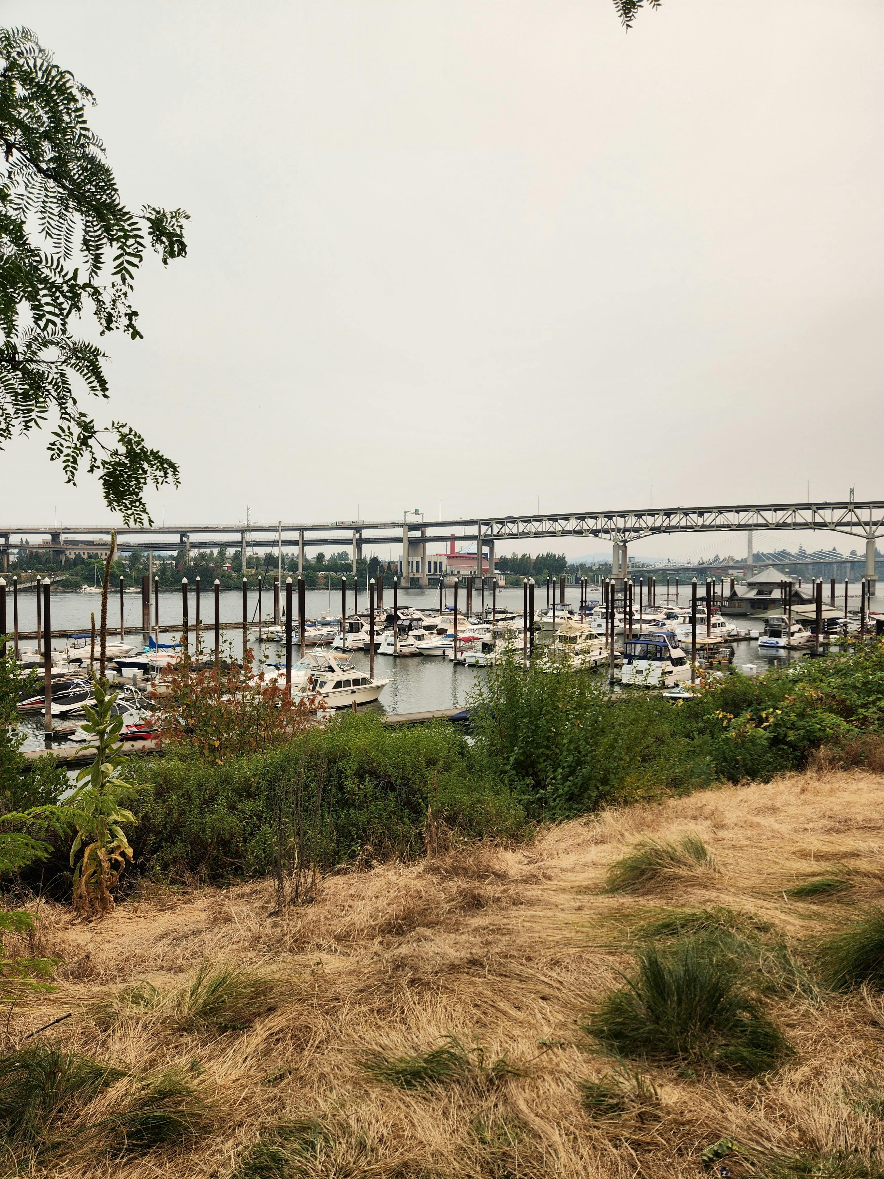 Photo of a Yacht Harbor · Free Stock Photo