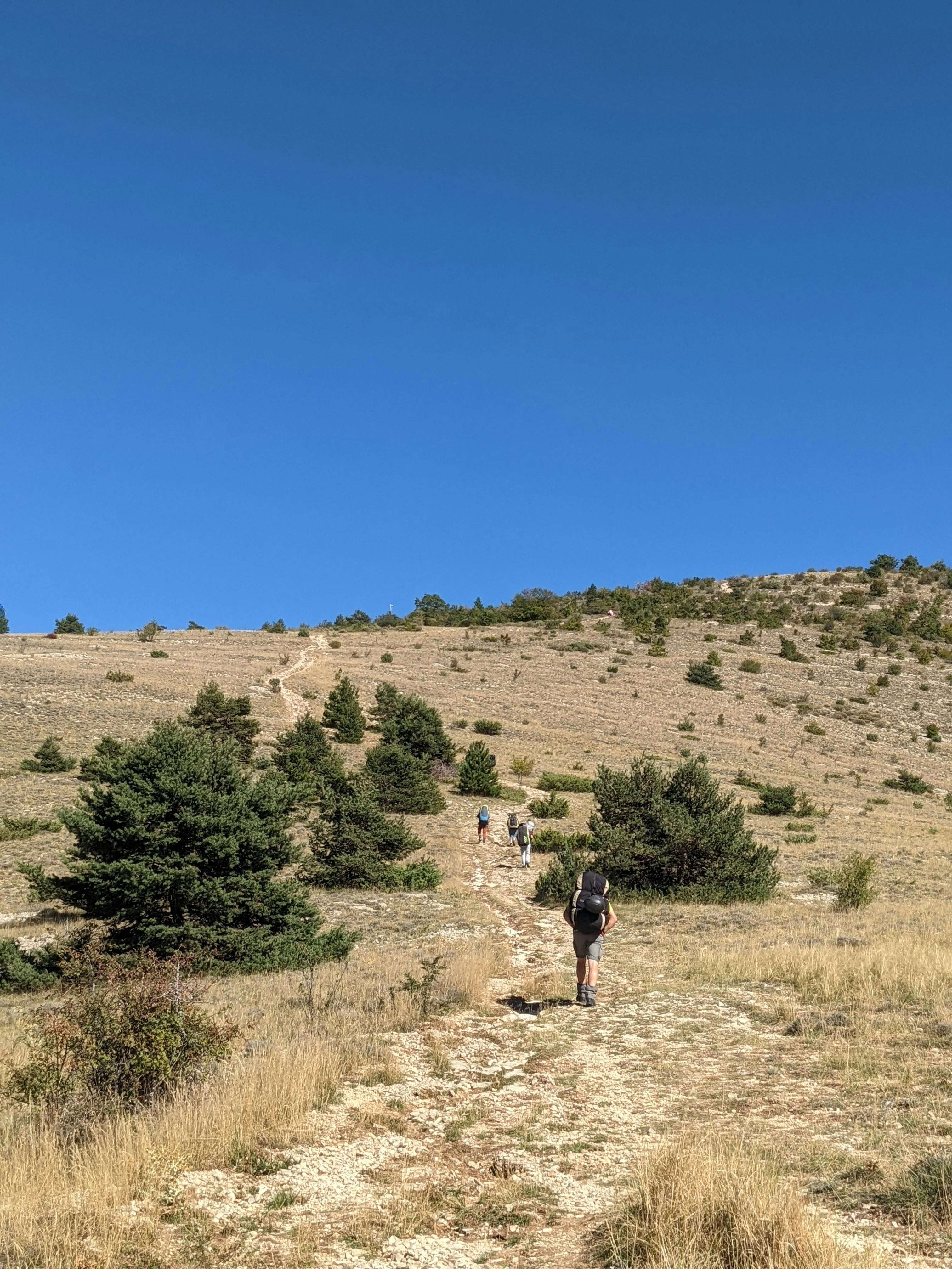 Man Hiking in Summer · Free Stock Photo