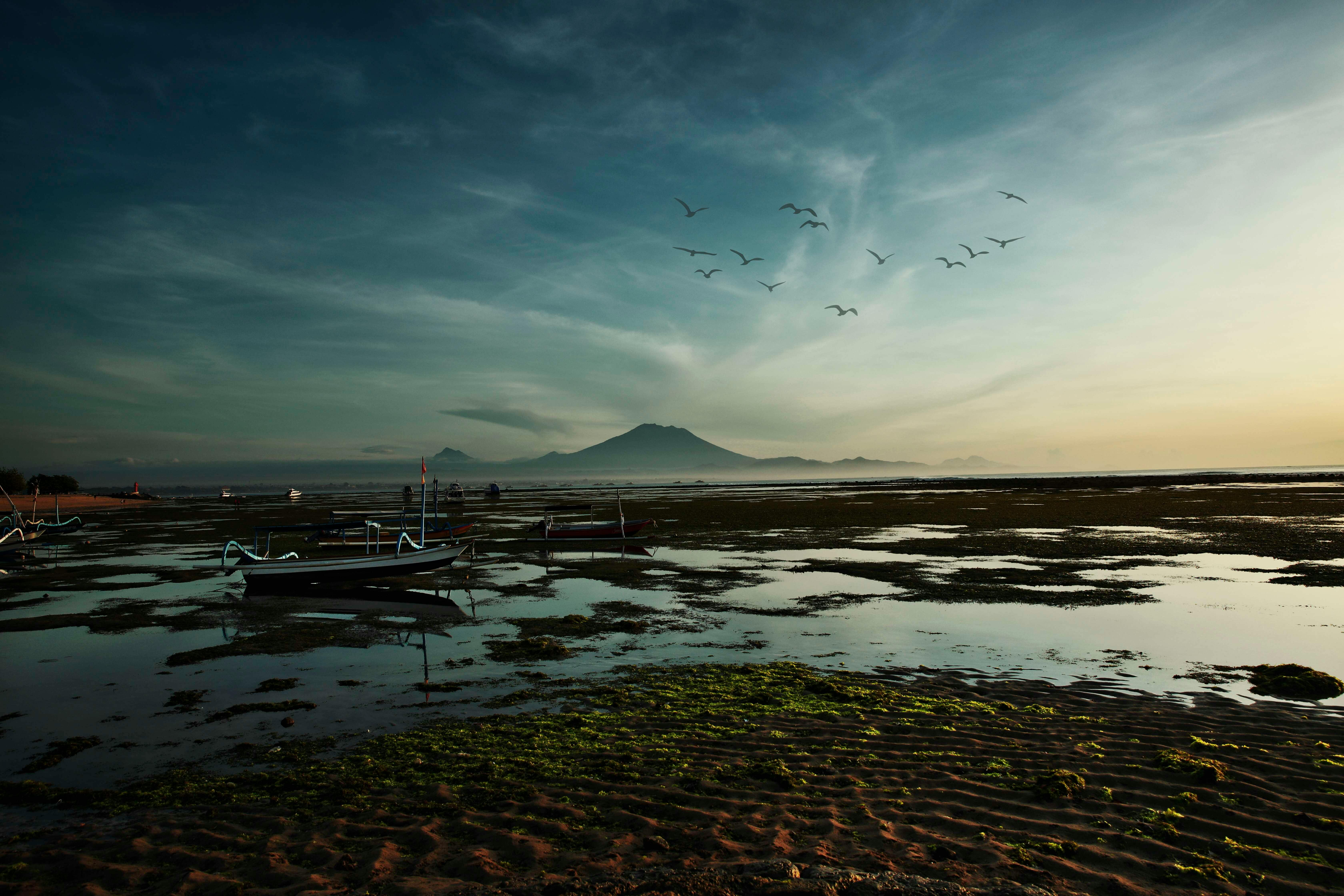 Volcano Seen from Beach · Free Stock Photo