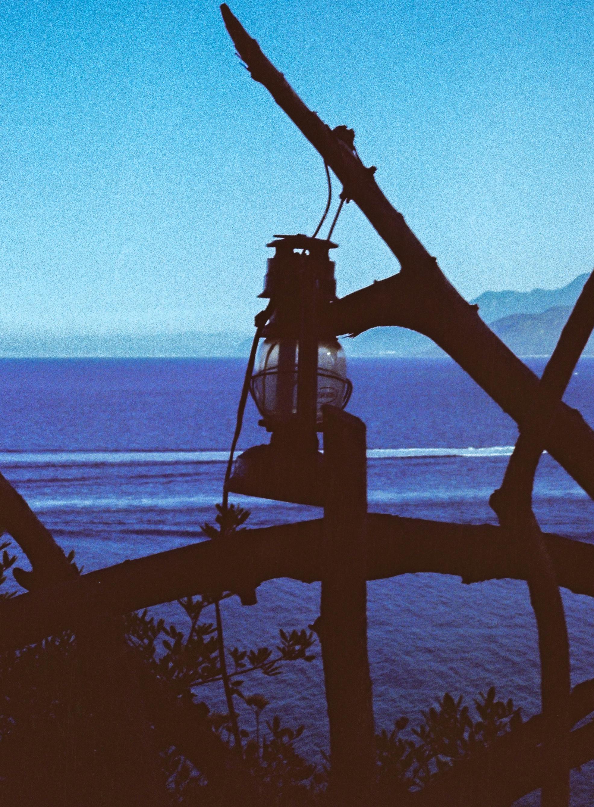 Lamp Hanged on Branch in Seaside · Free Stock Photo