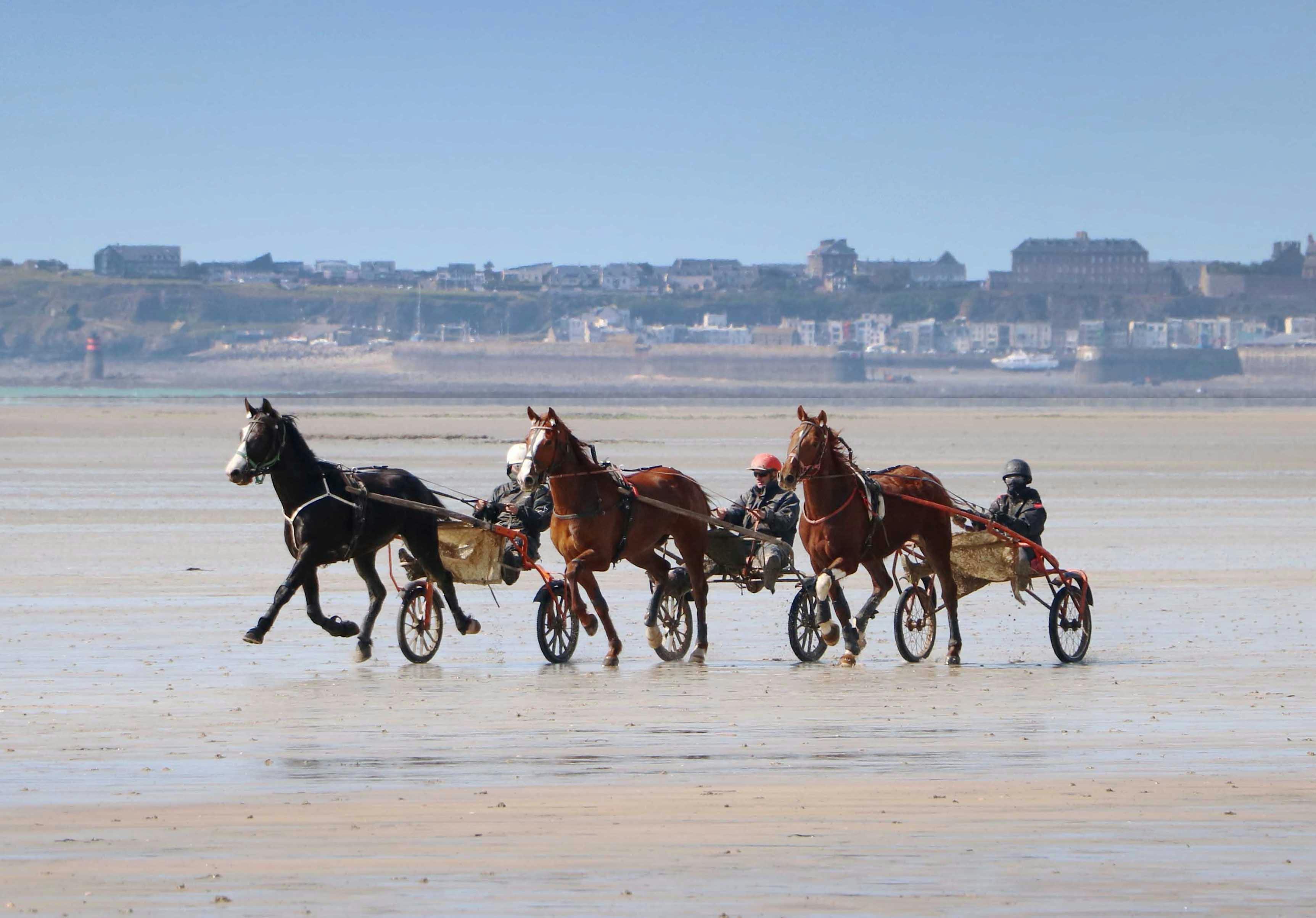 Chariot Photos, Download The BEST Free Chariot Stock Photos & HD Images