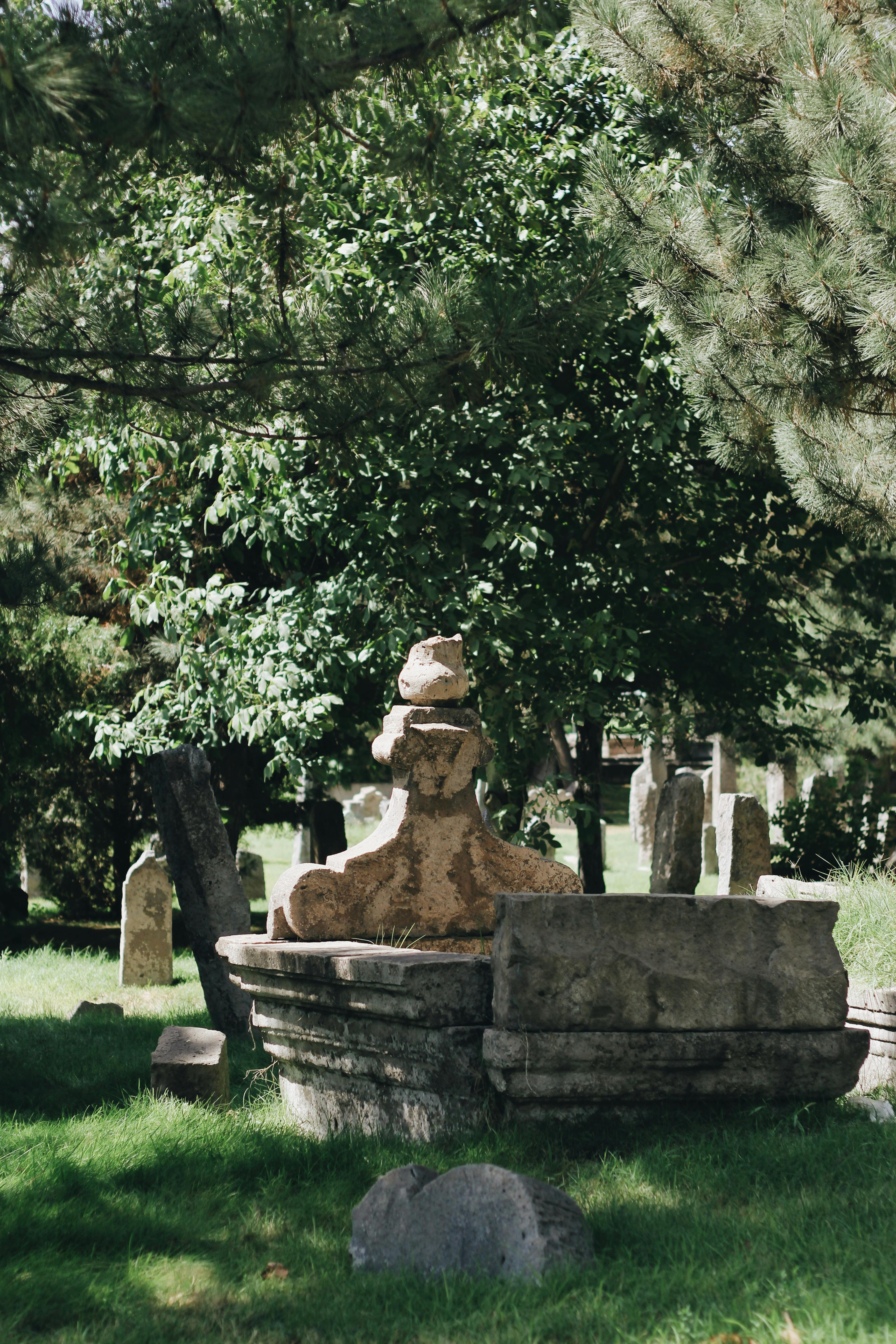 A Tombstone near the Trees · Free Stock Photo