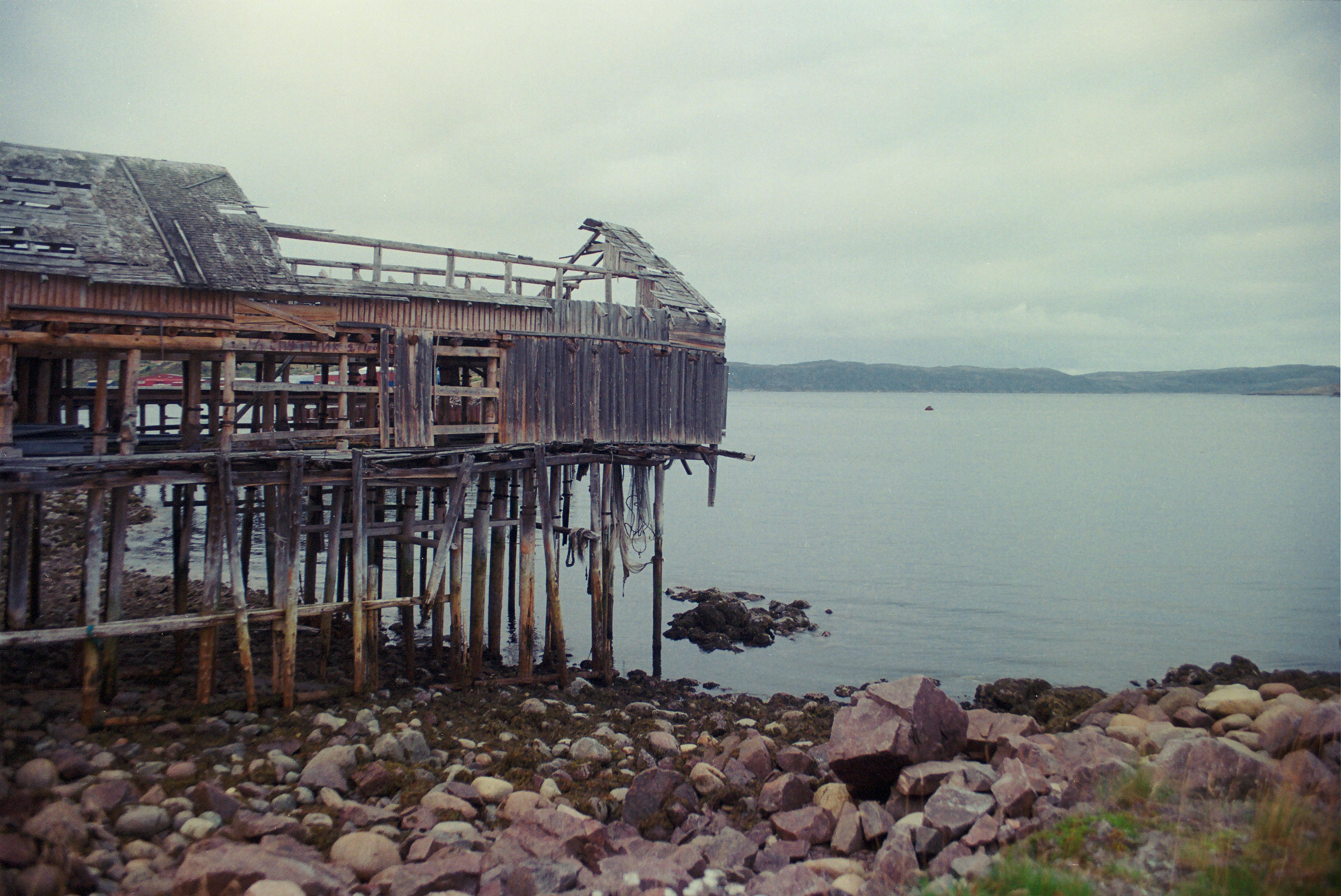 Broken Wooden House on Stilts on a Shore · Free Stock Photo