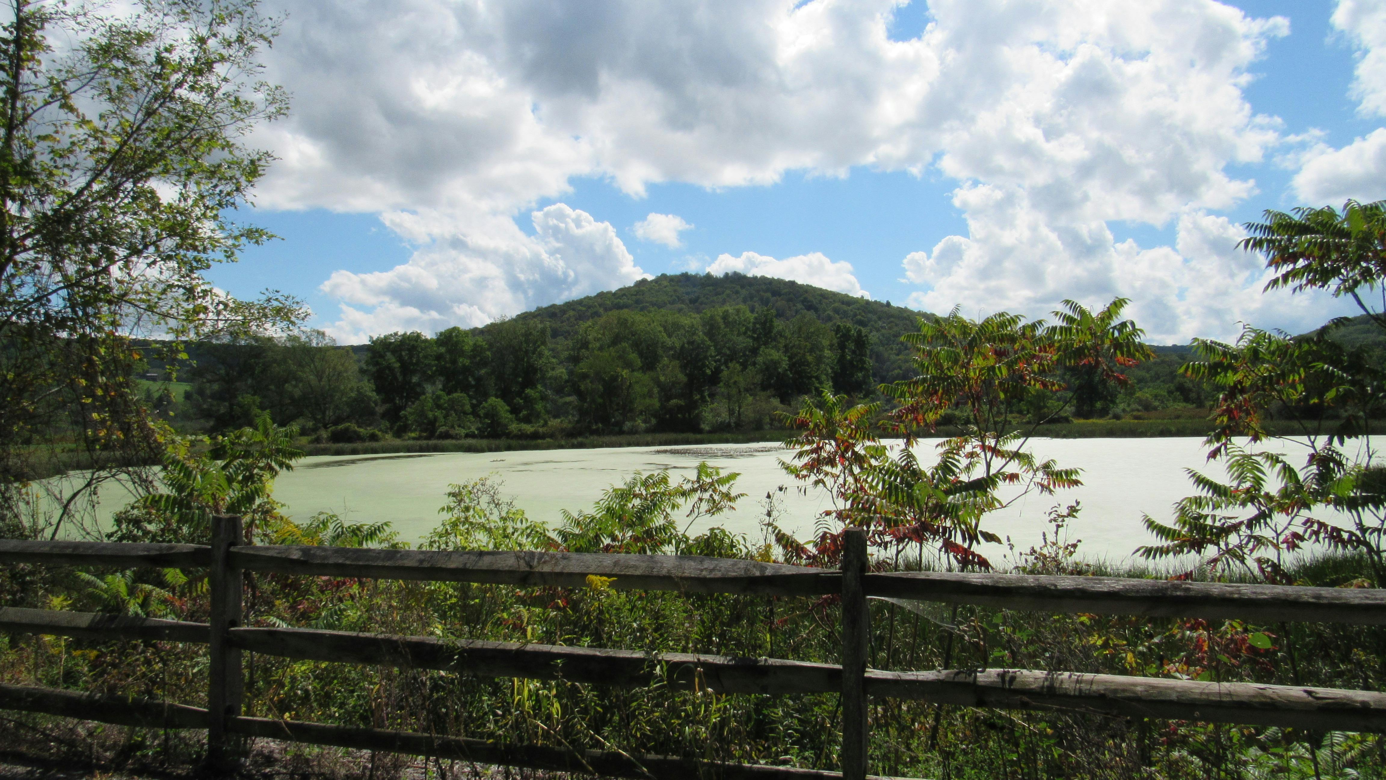 Nature Pictures 34 Photos & Videos Collected by Peter Tremblay