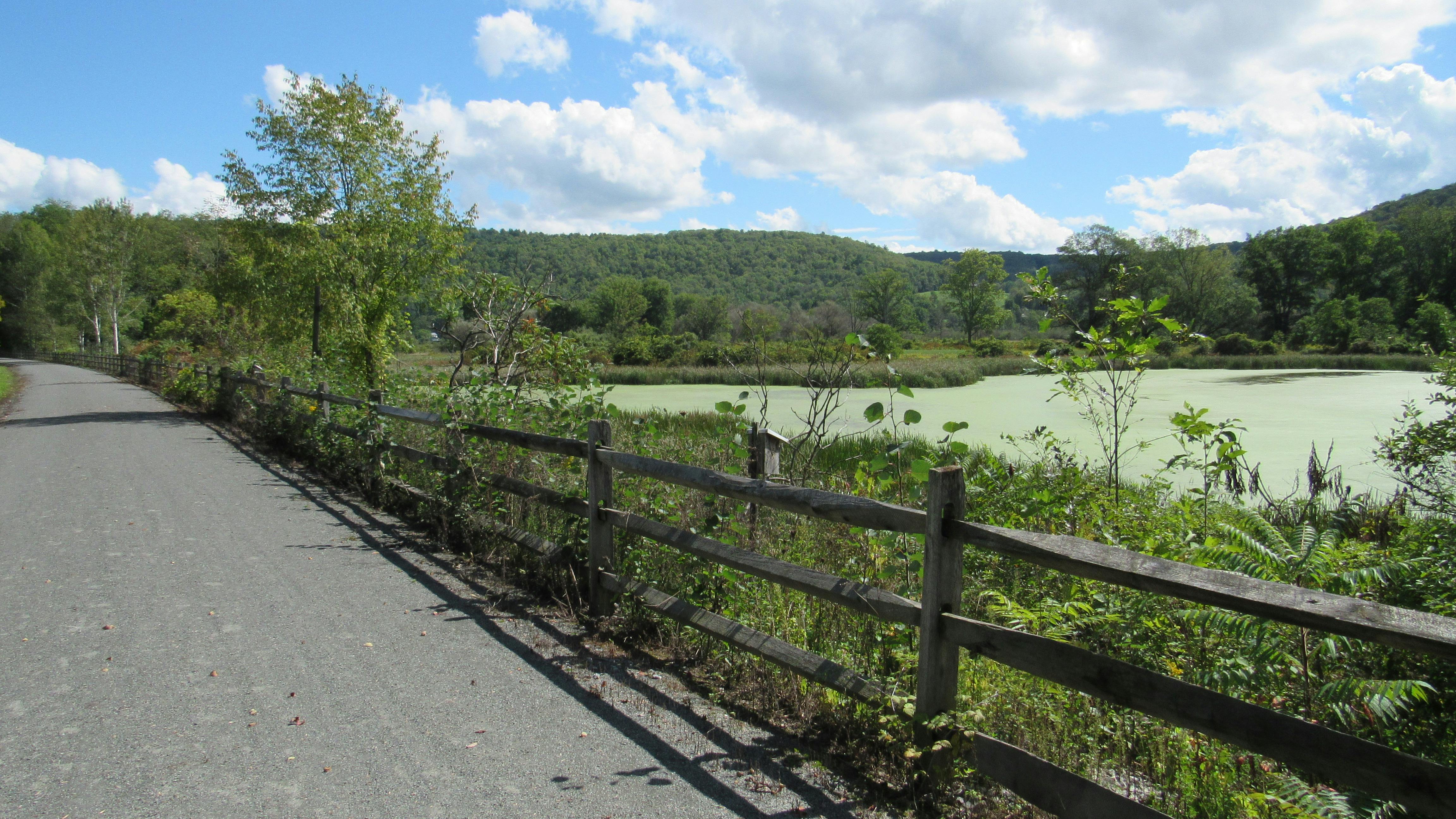 Nature Pictures 34 Photos & Videos Collected by Peter Tremblay