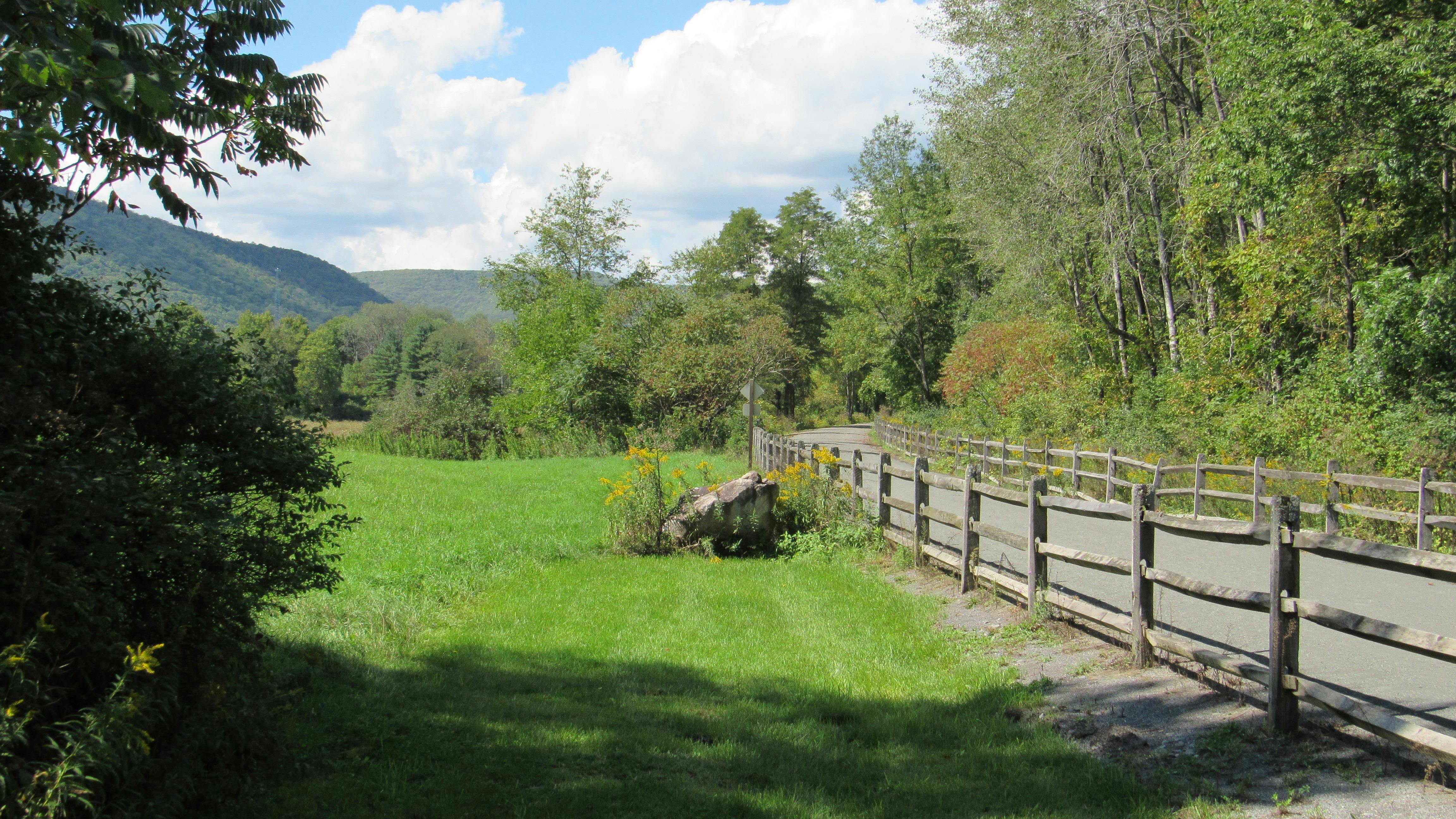 Peter Tremblay - 写真