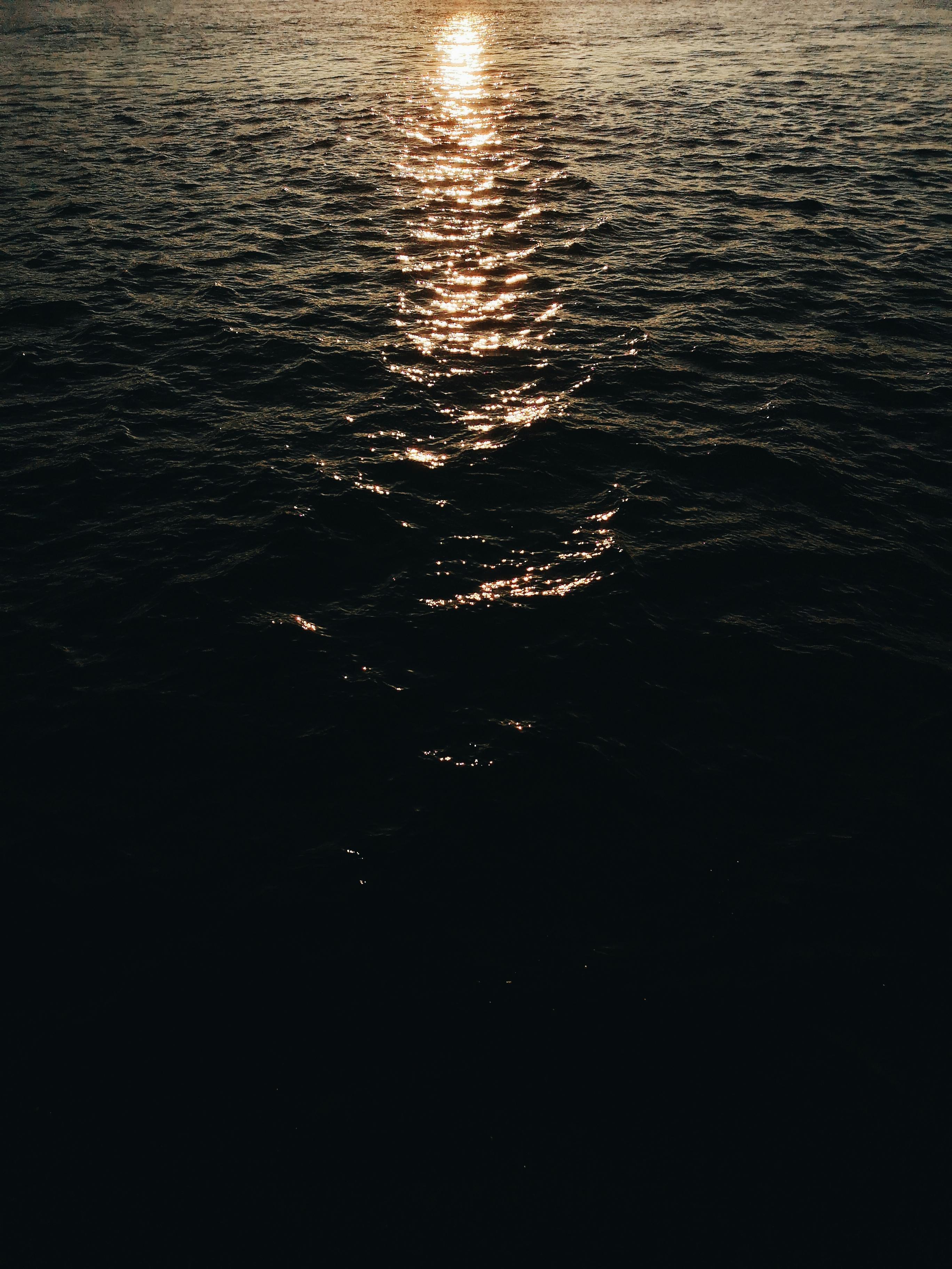 Shiny Water on Shore · Free Stock Photo