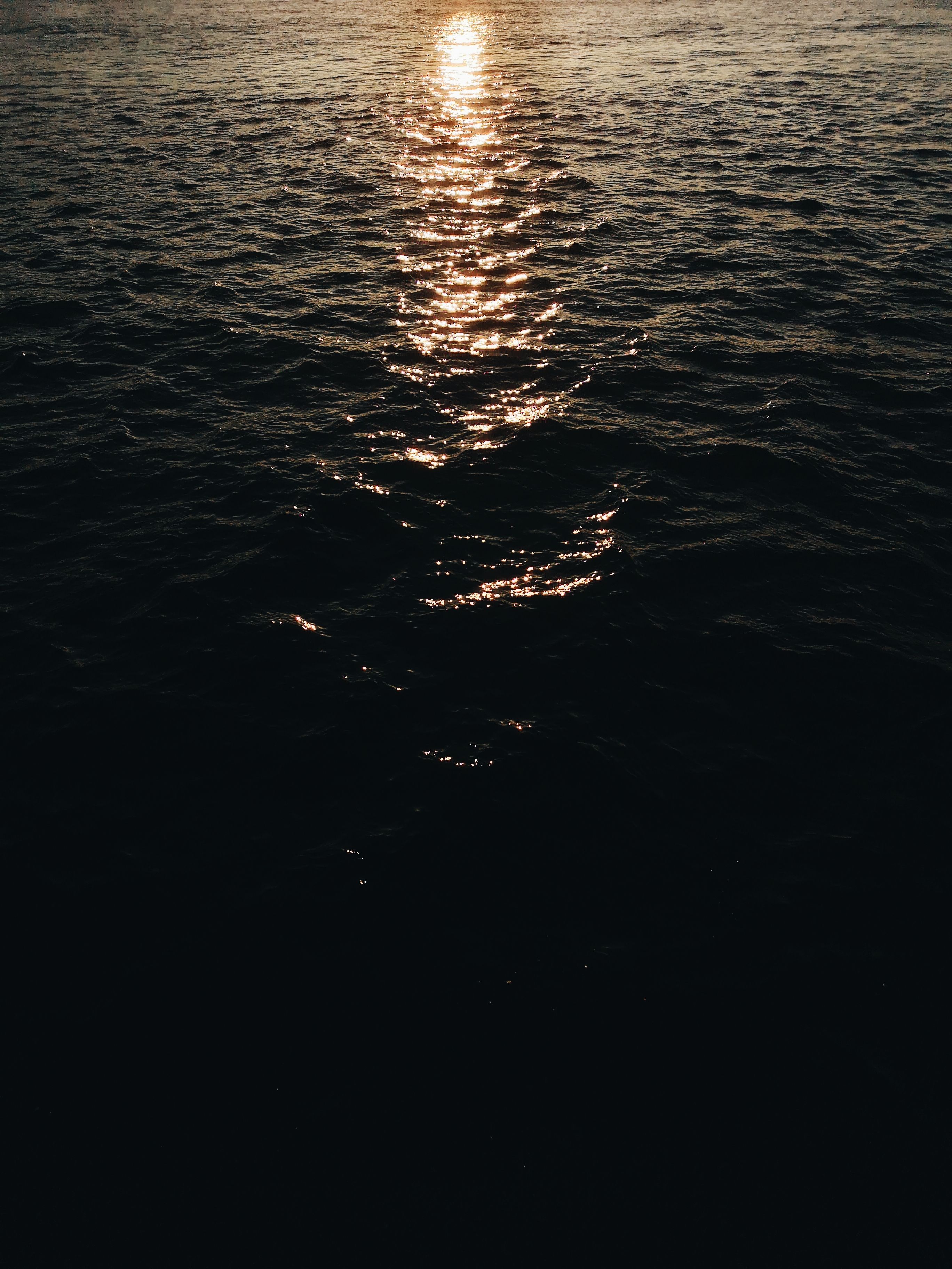 Shiny Water on Shore · Free Stock Photo