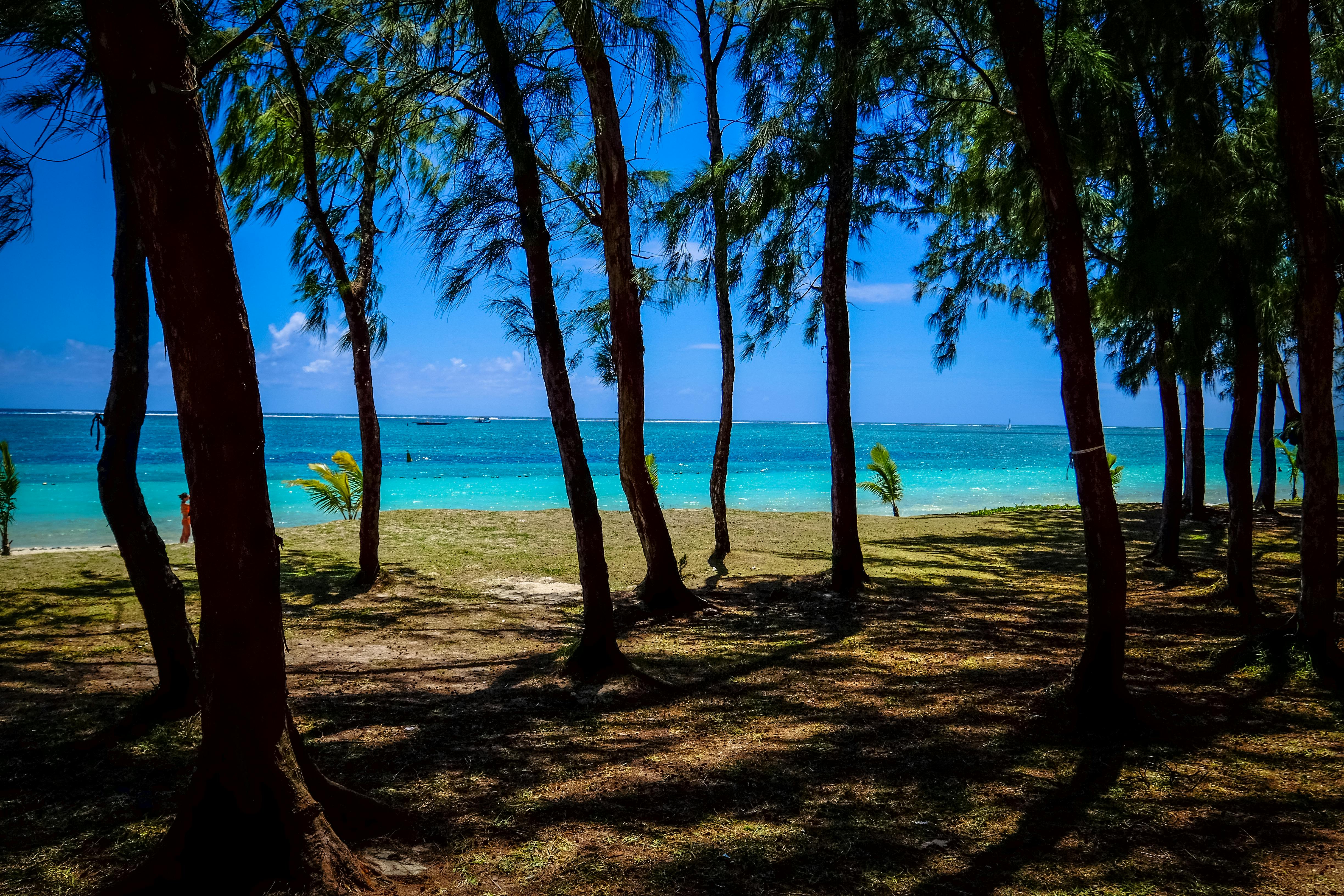 Free stock photo of beach, colors, mauritius
