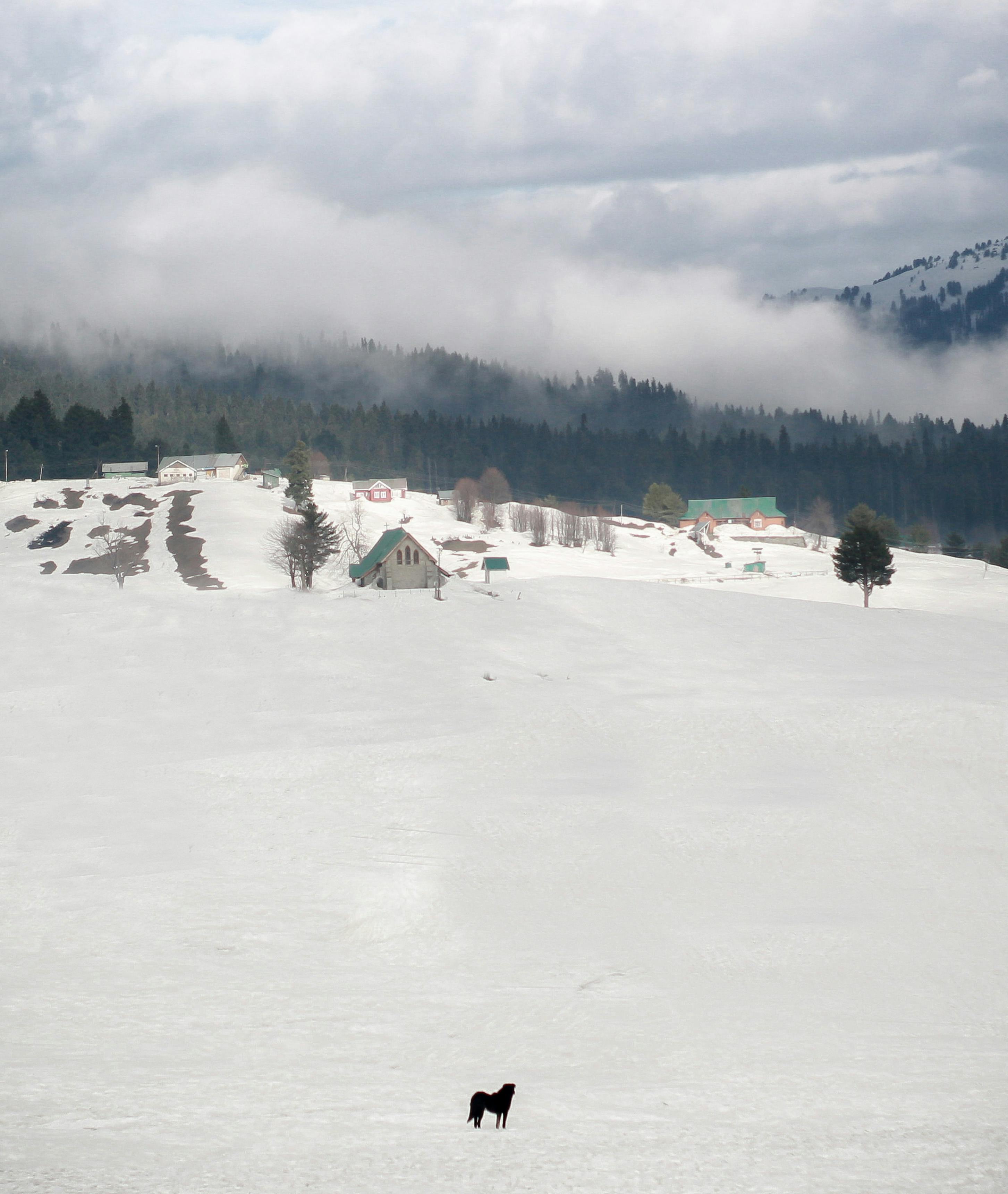 Sparse Houses Photos, Download The BEST Free Sparse Houses Stock Photos ...