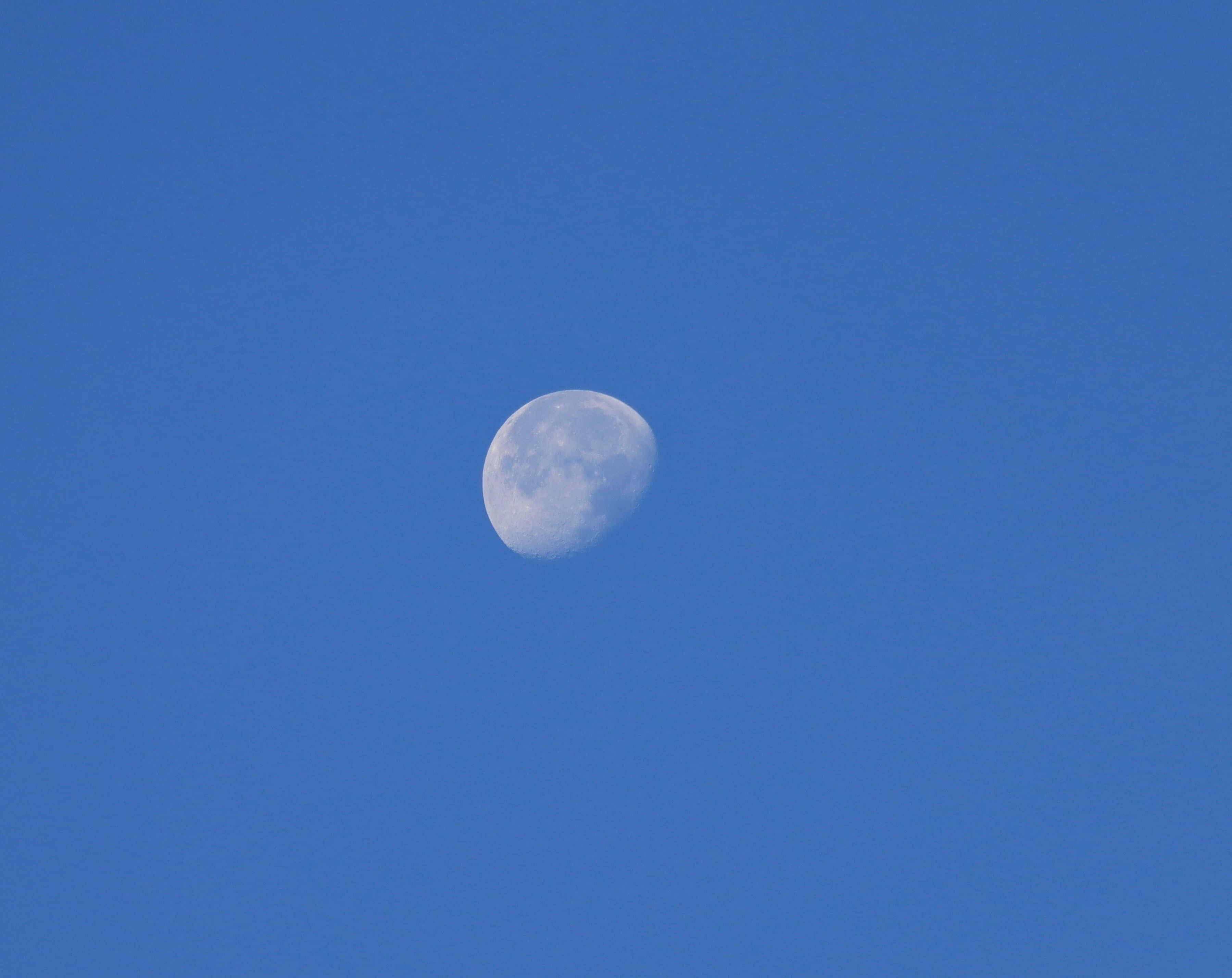 Moon in the Blue Sky · Free Stock Photo